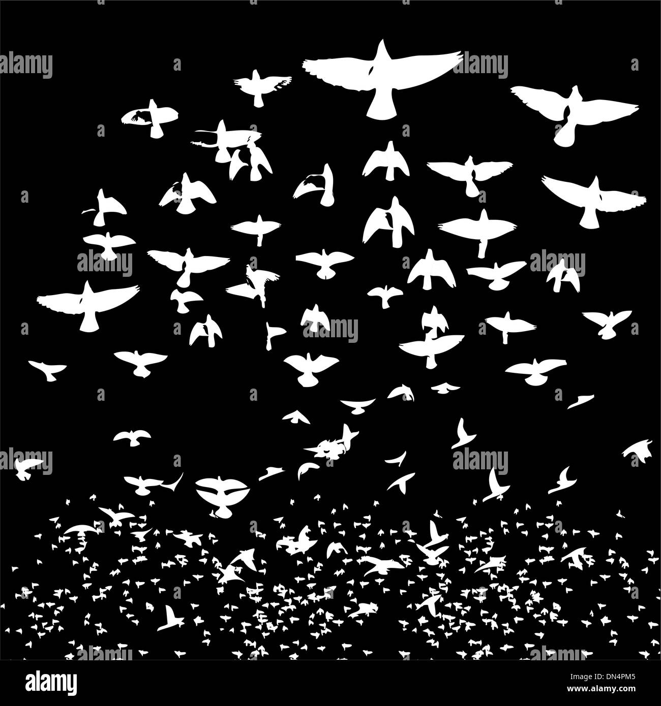 black background birds life vector art Stock Vector Image & Art - Alamy