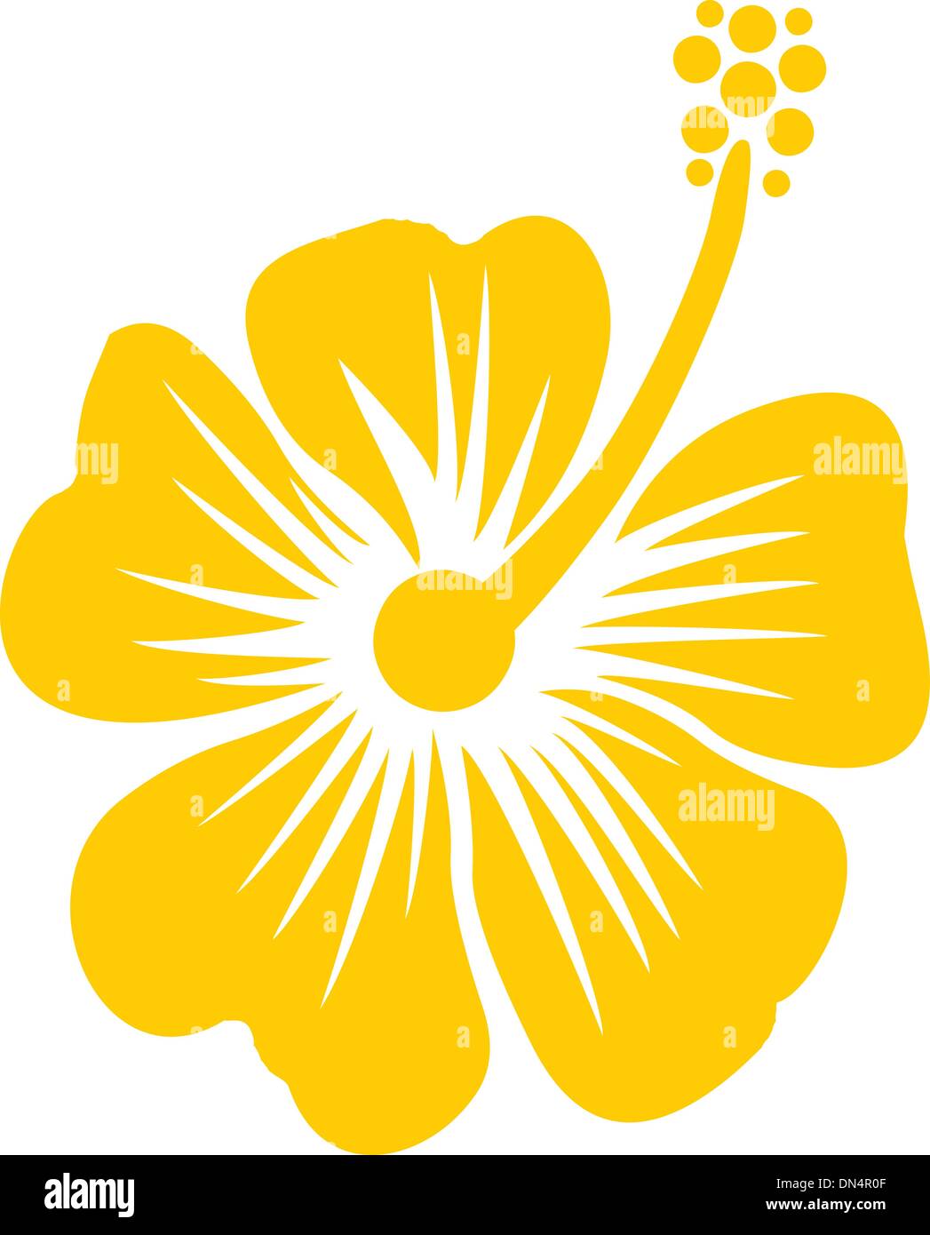 hibiscuse surfer and flower vector art Stock Vector Image & Art - Alamy