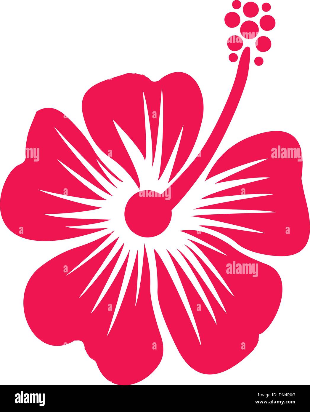 Hibiscuse Surfer And Flower Vector Art Stock Vector Image And Art Alamy