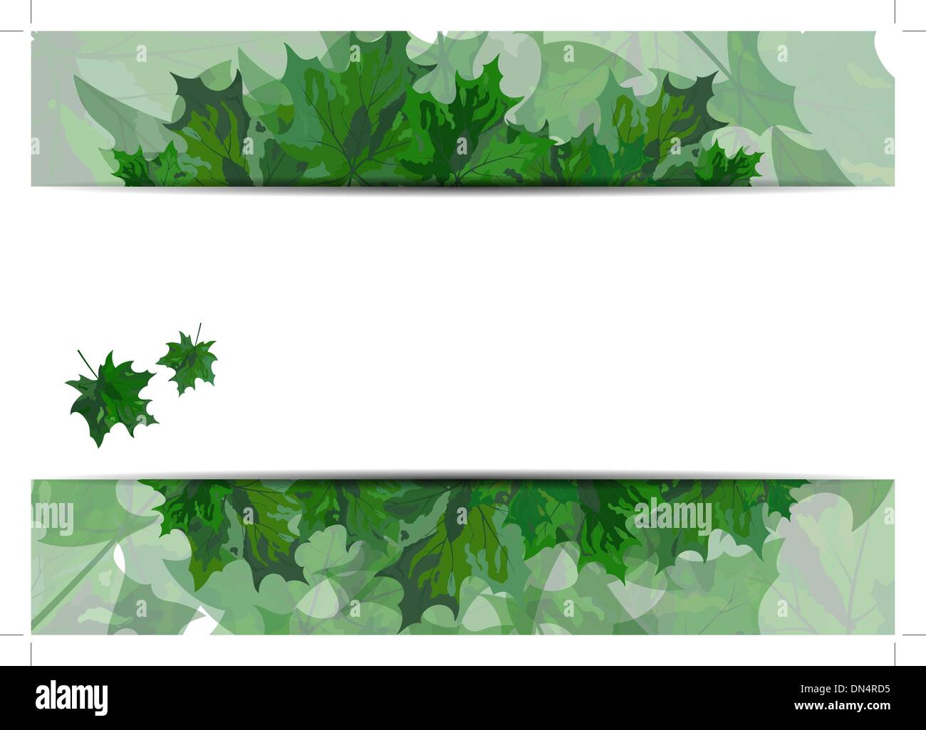 Young new leaves Stock Vector Images - Alamy