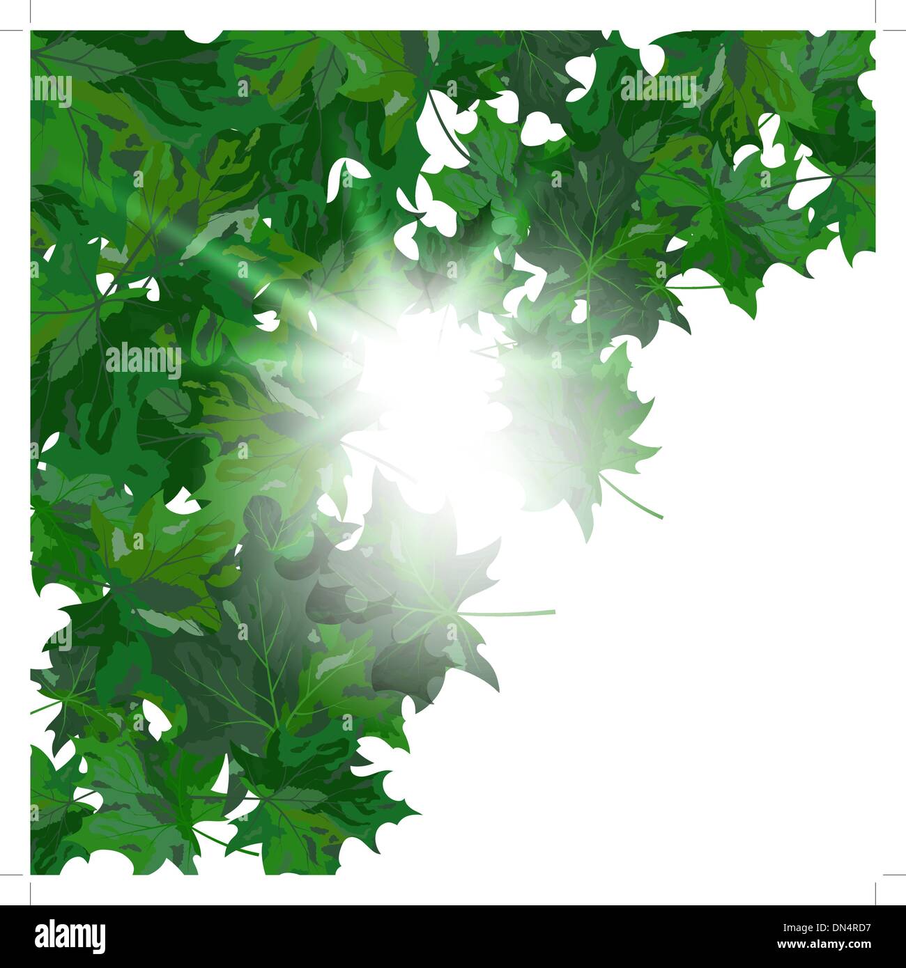 Tree branch young leaves Stock Vector Images - Alamy