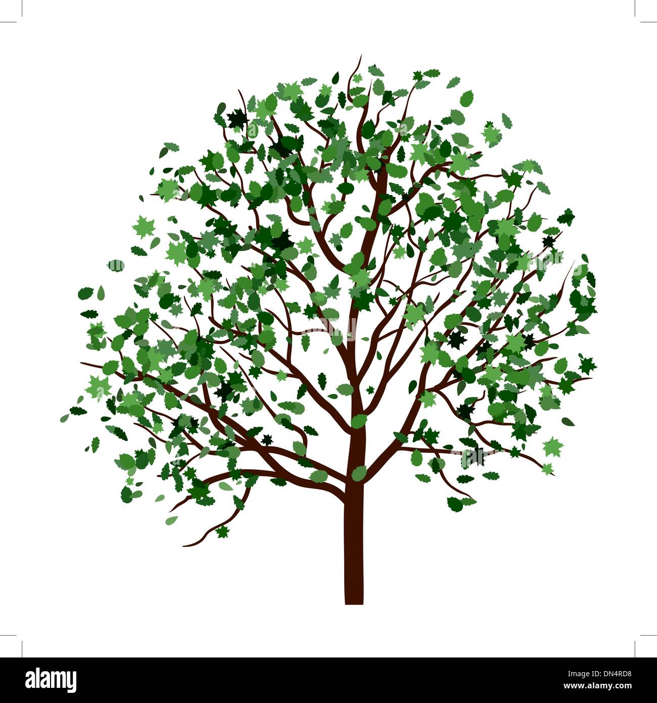 Beautiful maple tree summer park Stock Vector Images - Alamy