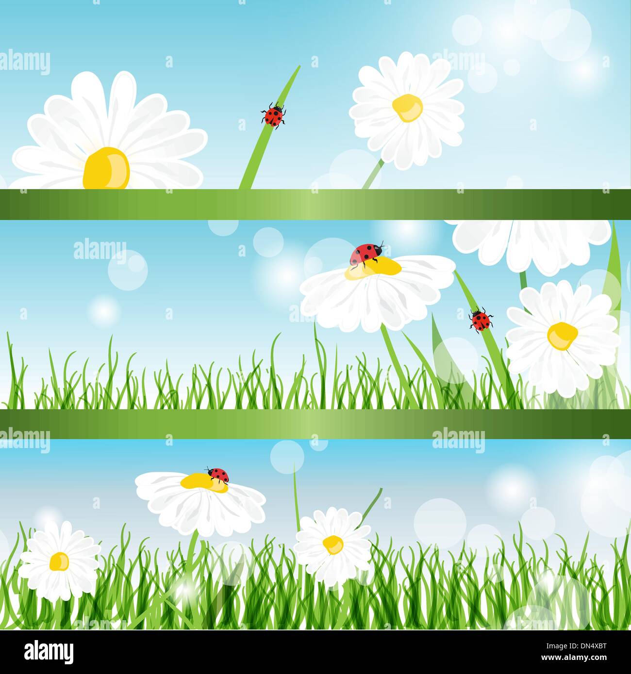 Summer banners with daisy and ladybugs in green grass Stock Vector ...