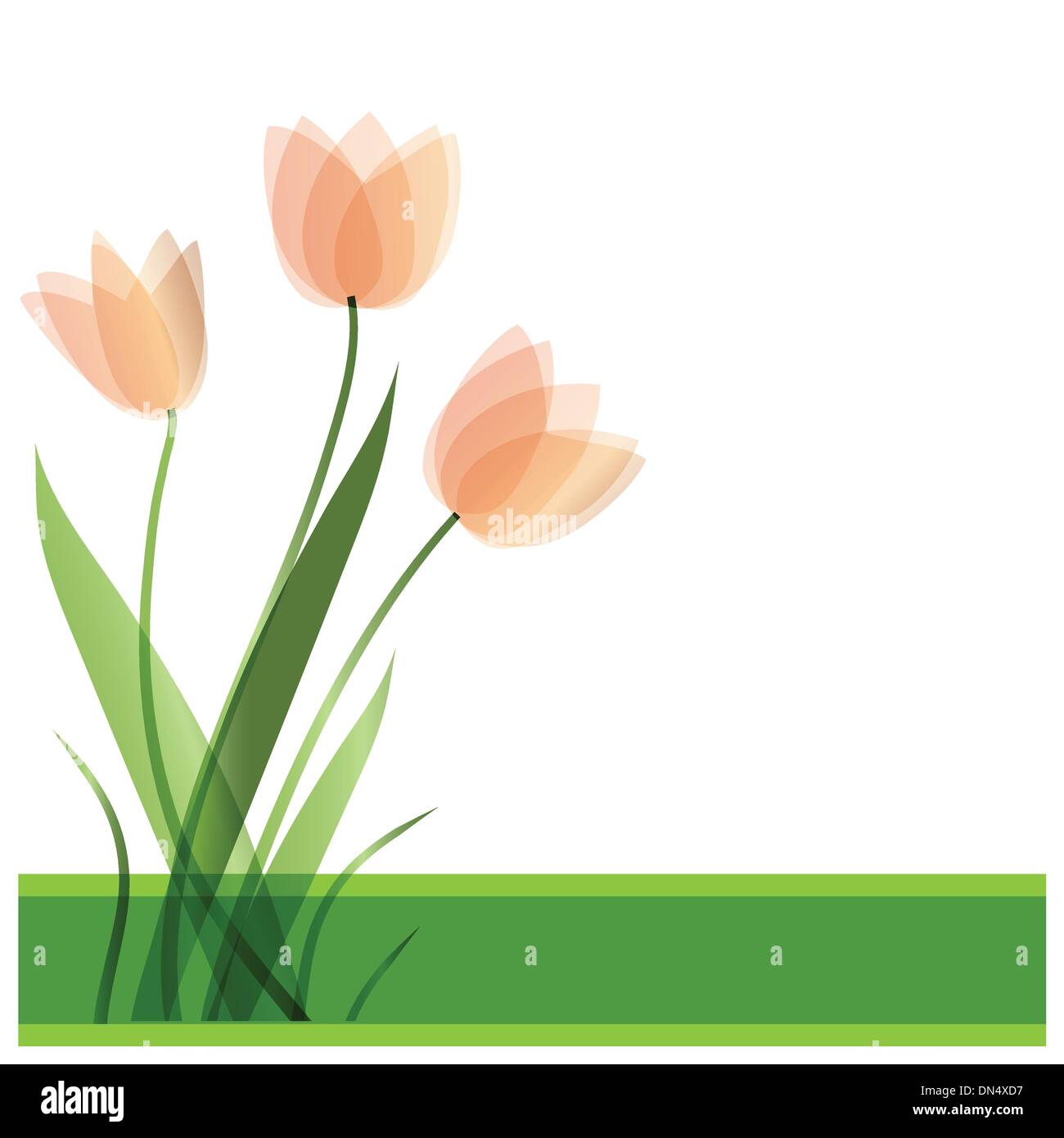 Flower flowers tulips Stock Vector Images - Alamy