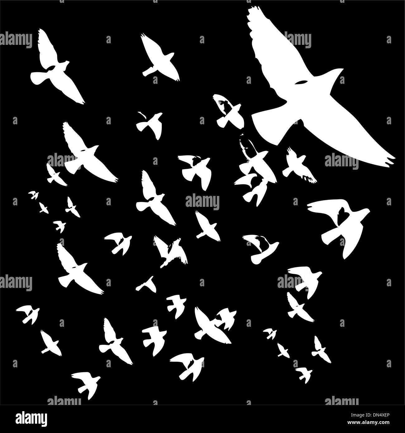 Vector vectors life Black and White Stock Photos & Images - Alamy