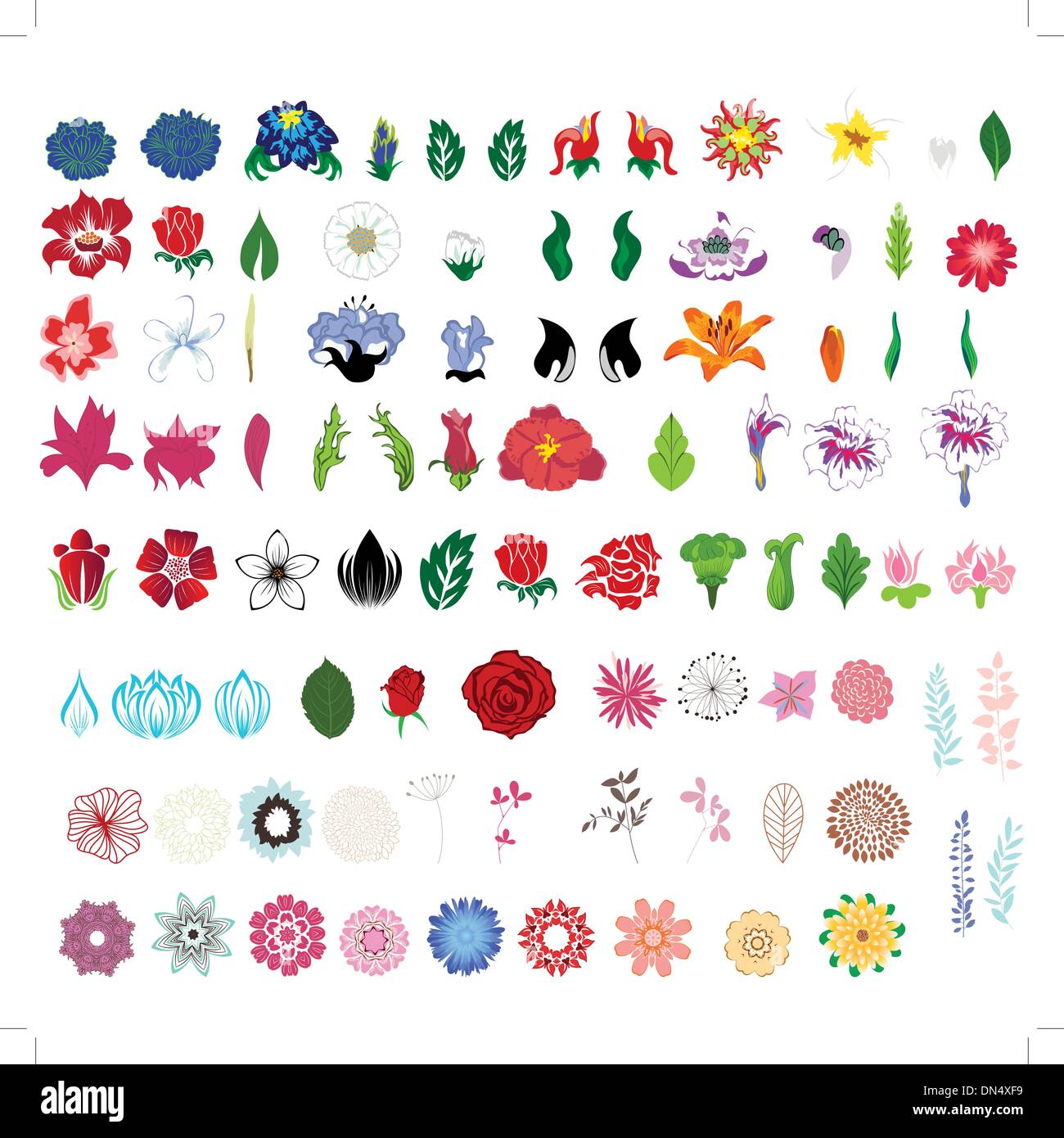 Rose flower label garden Stock Vector Images - Alamy