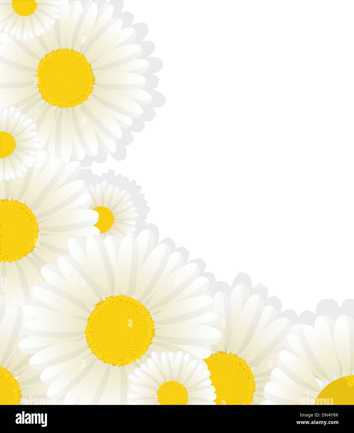 Daisy growth Stock Vector Images - Alamy