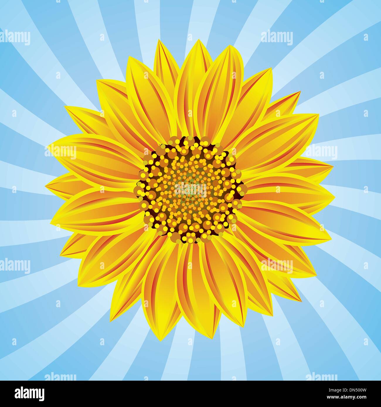 Sunflower vectors hi-res stock photography and images - Alamy