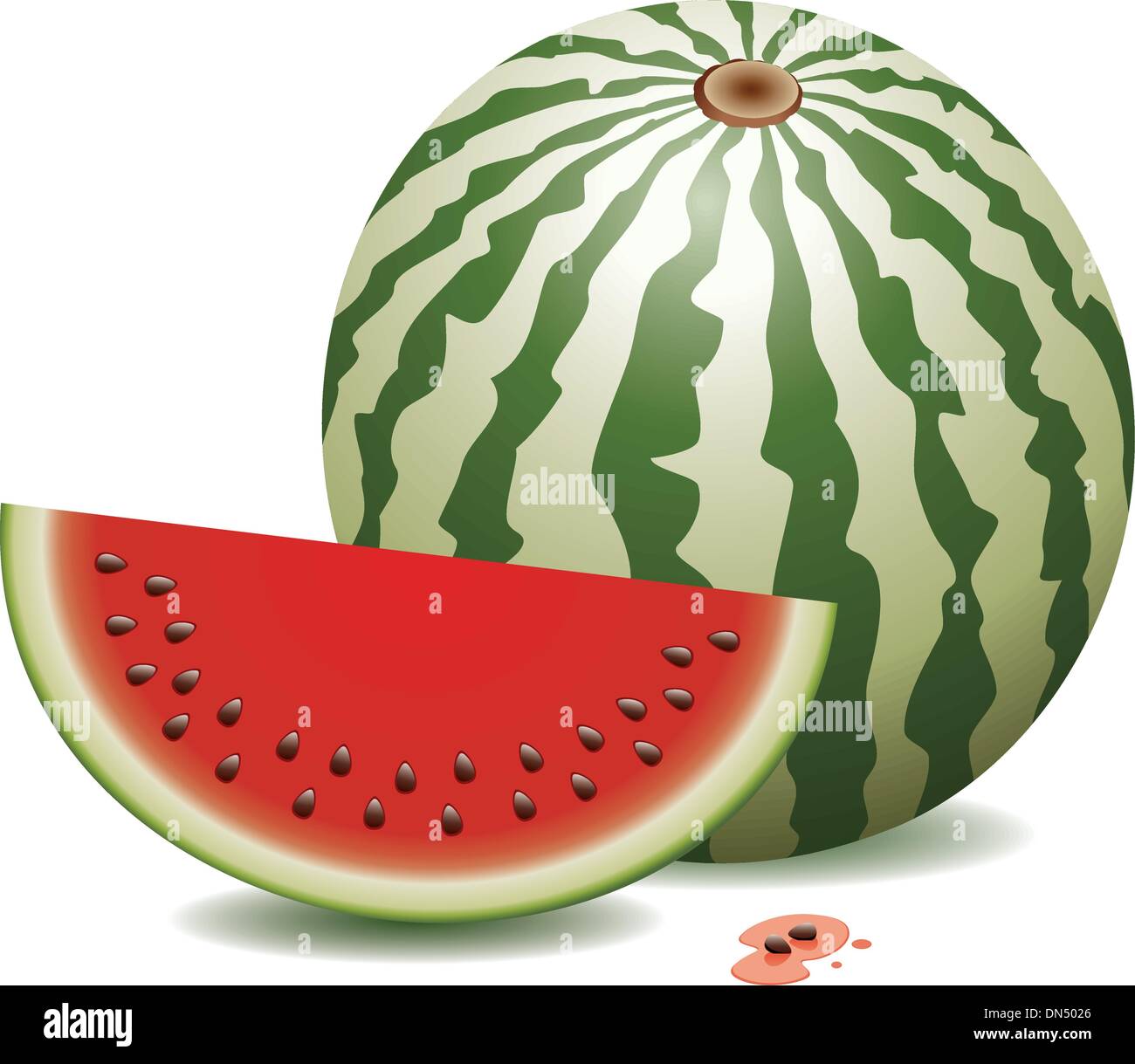 vector watermelon and a slice Stock Vector Image & Art - Alamy
