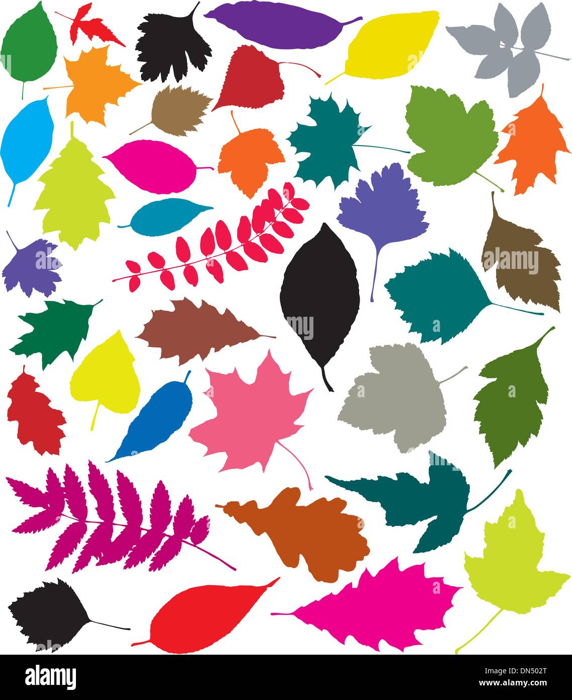 Colorful oak ash autumn Stock Vector Images - Alamy