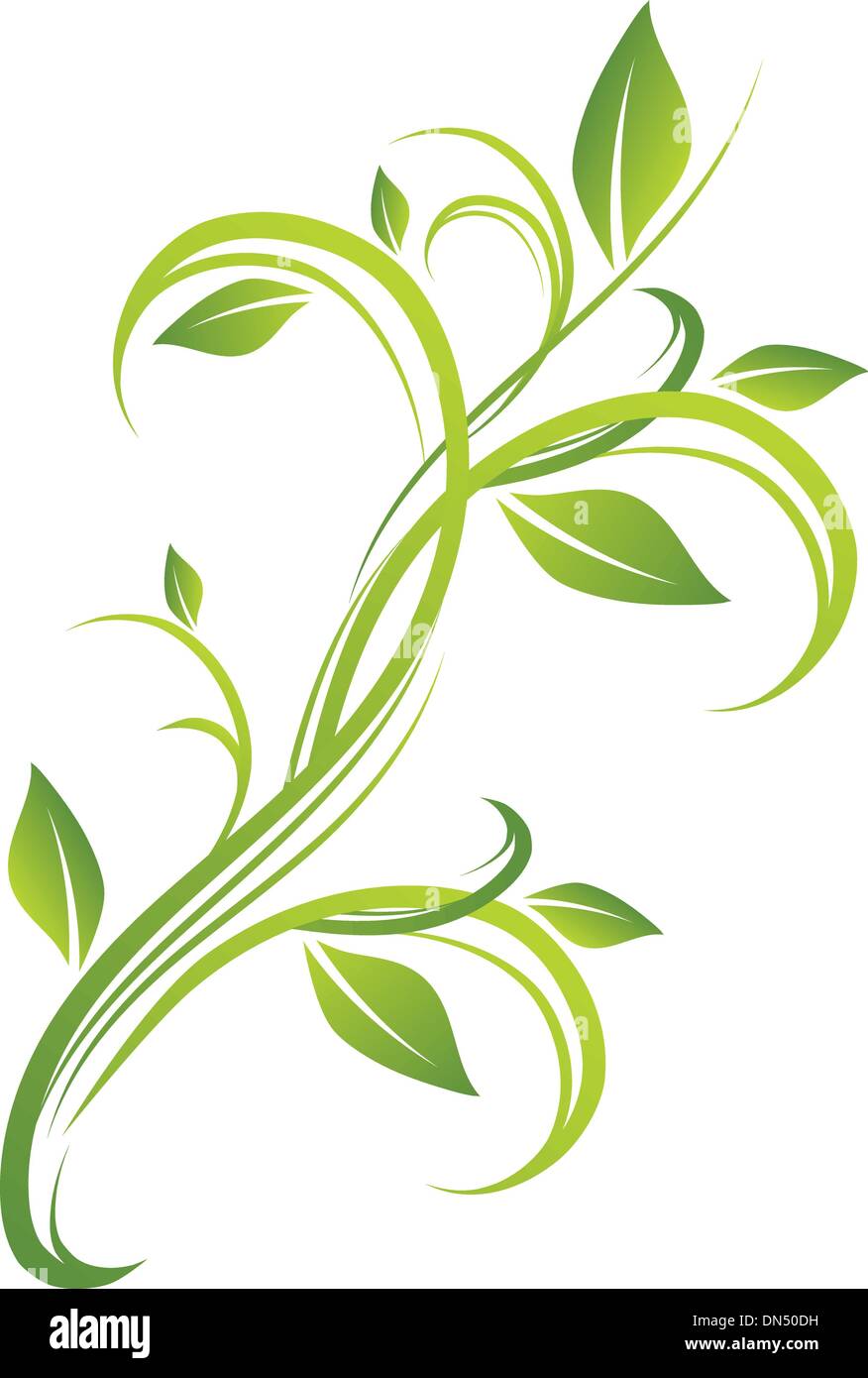 Green Floral Design Stock Vector Image & Art - Alamy