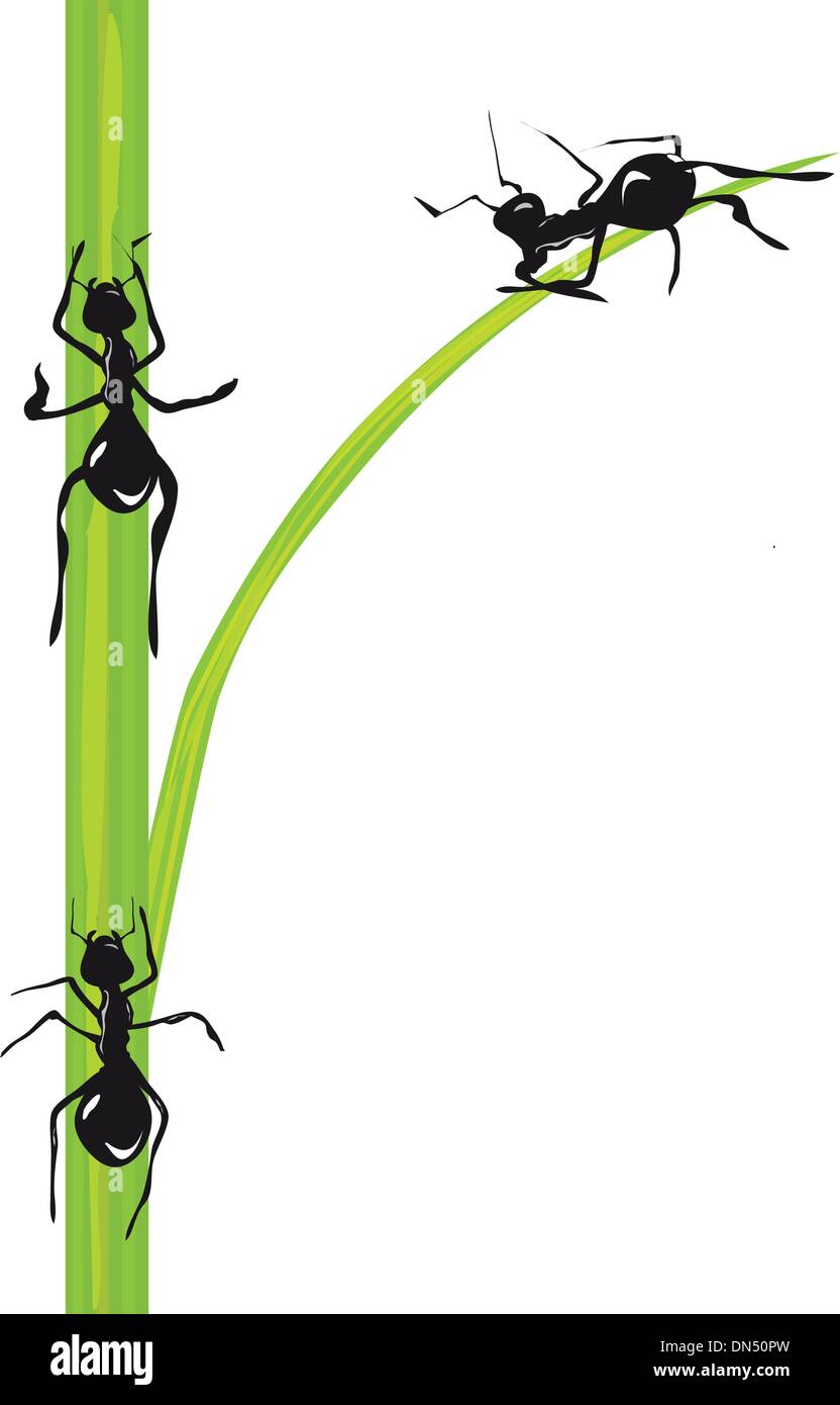 Vector vectors ants hi-res stock photography and images - Alamy
