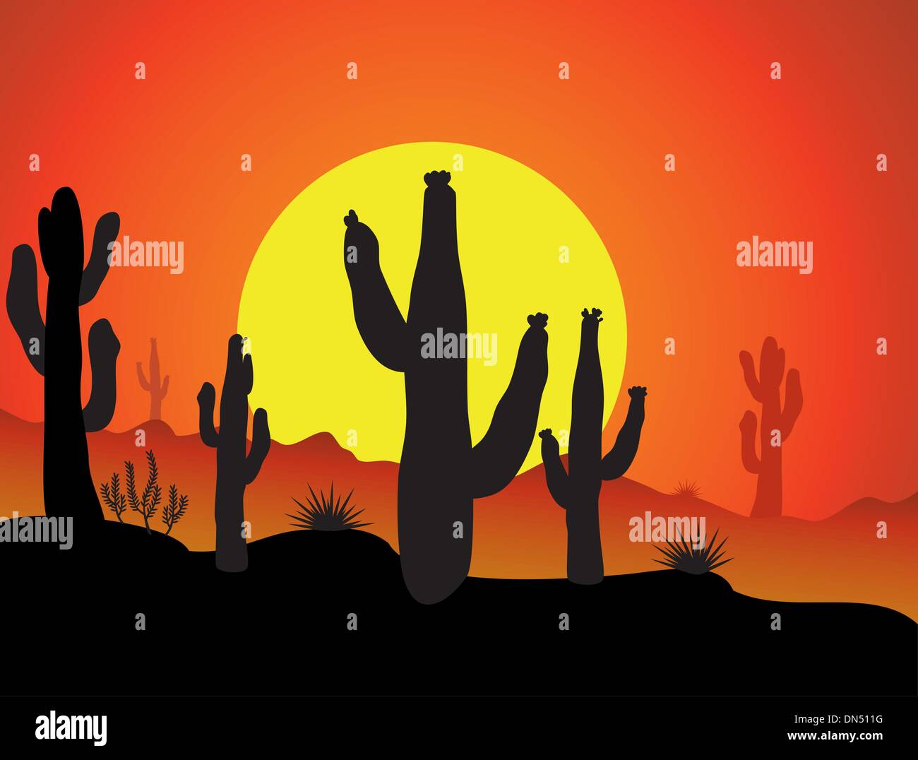 Desert cactus drawing hi-res stock photography and images - Alamy