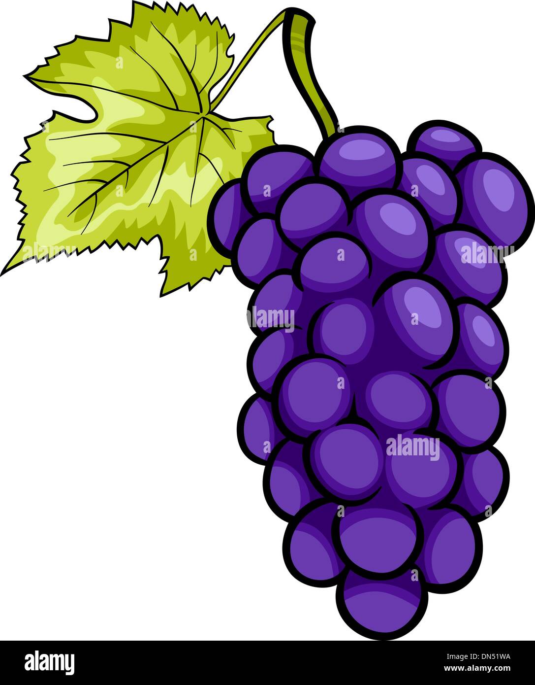 Ripe bunch blue grapes Stock Vector Images - Alamy
