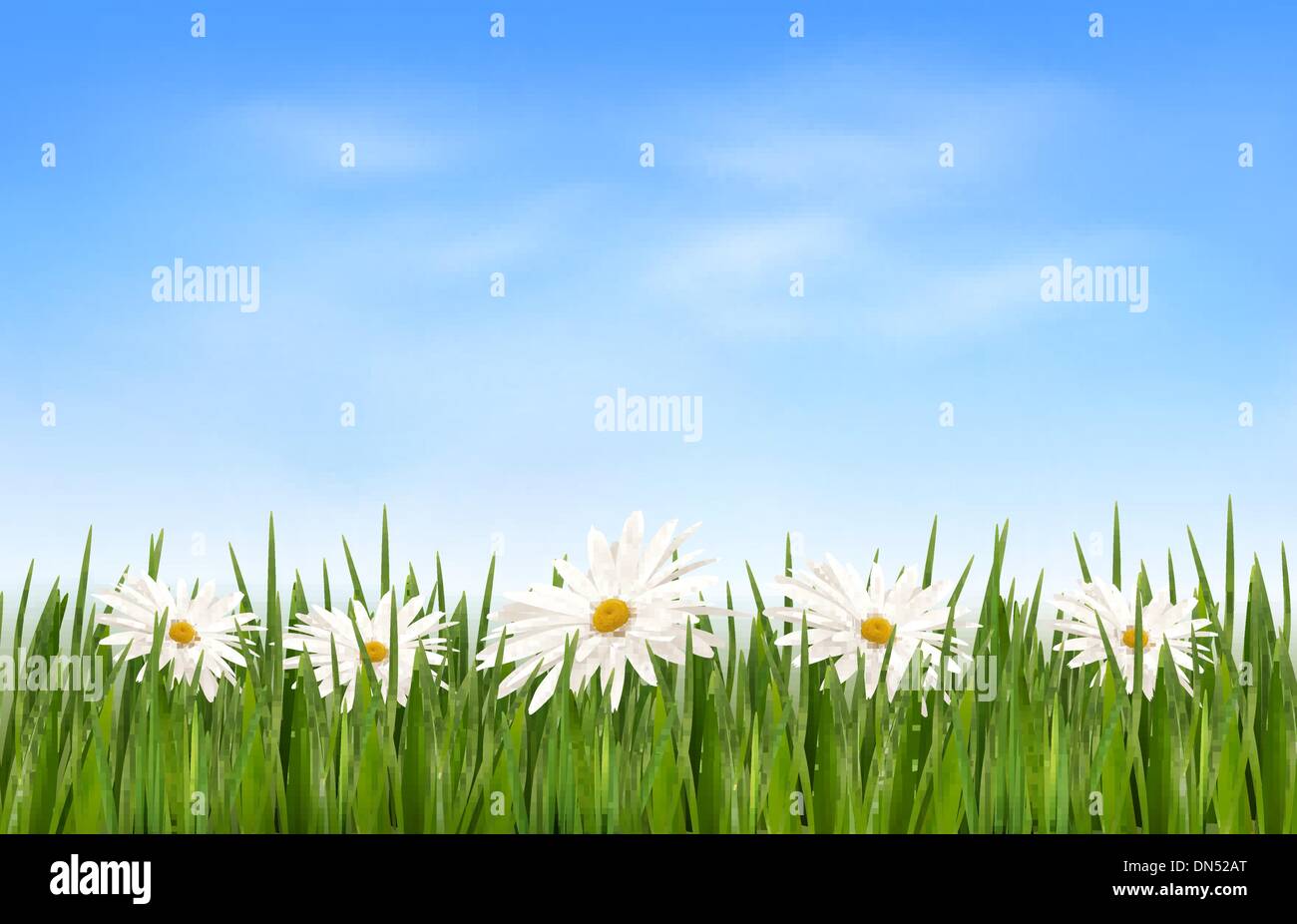 Nature background with green grass and flowers and blue sky. Vec Stock ...