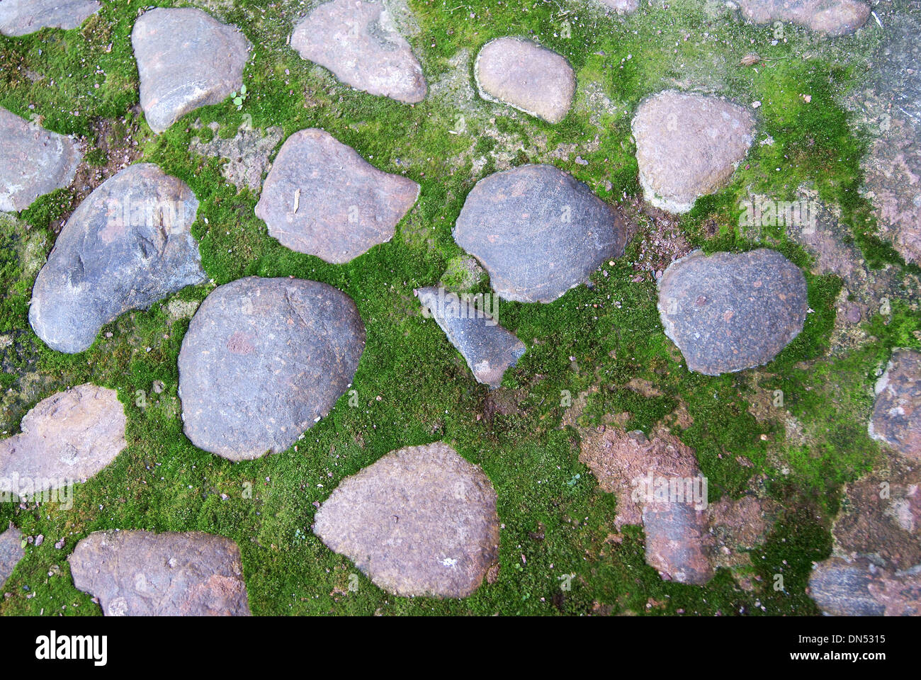 Moss road hi-res stock photography and images - Alamy