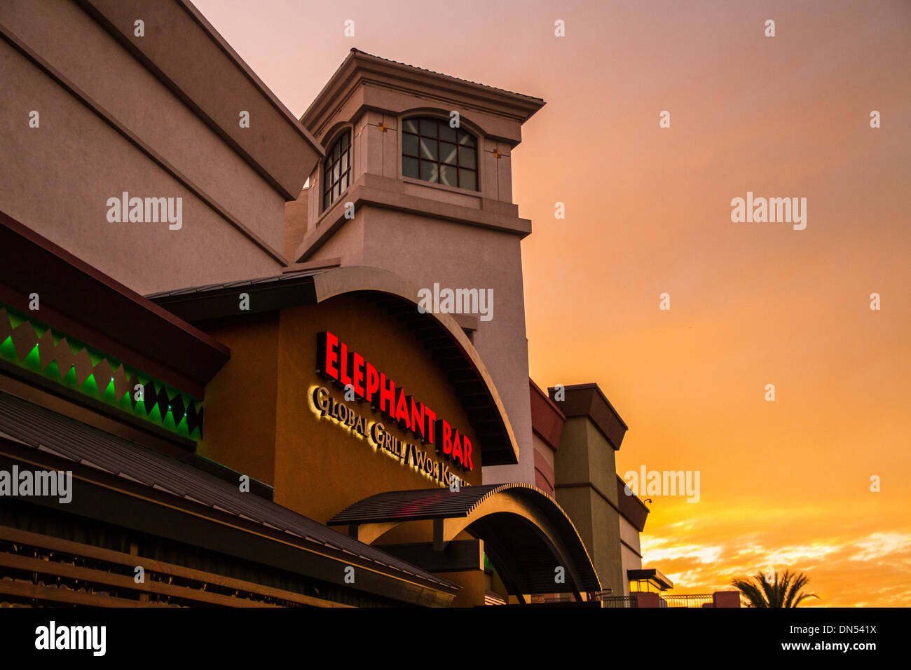 Elephant bar hi-res stock photography and images - Alamy