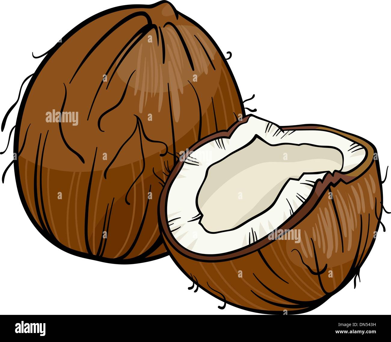 coconut cartoon illustration Stock Vector Image & Art - Alamy