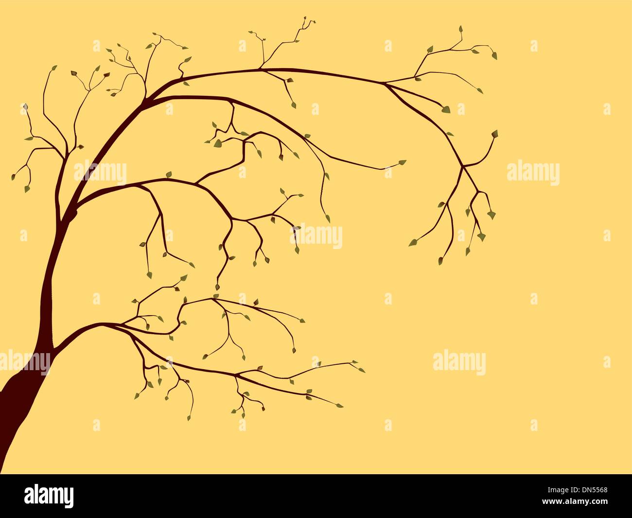 Growing branch Stock Vector Images - Alamy