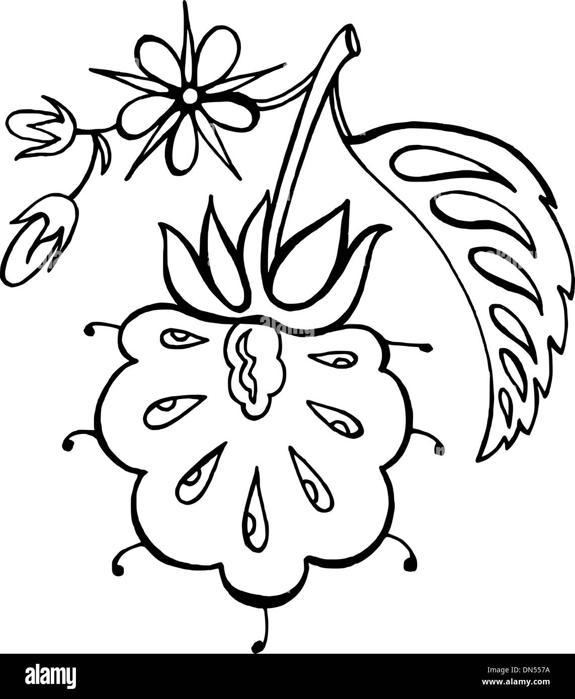 Razz hi-res stock photography and images - Alamy