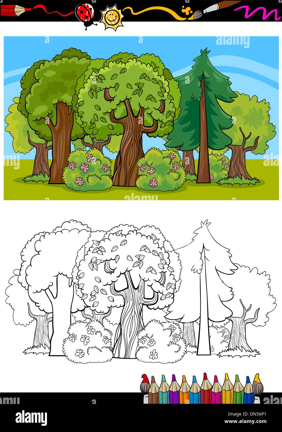 Deciduous Forest Coloring Pages