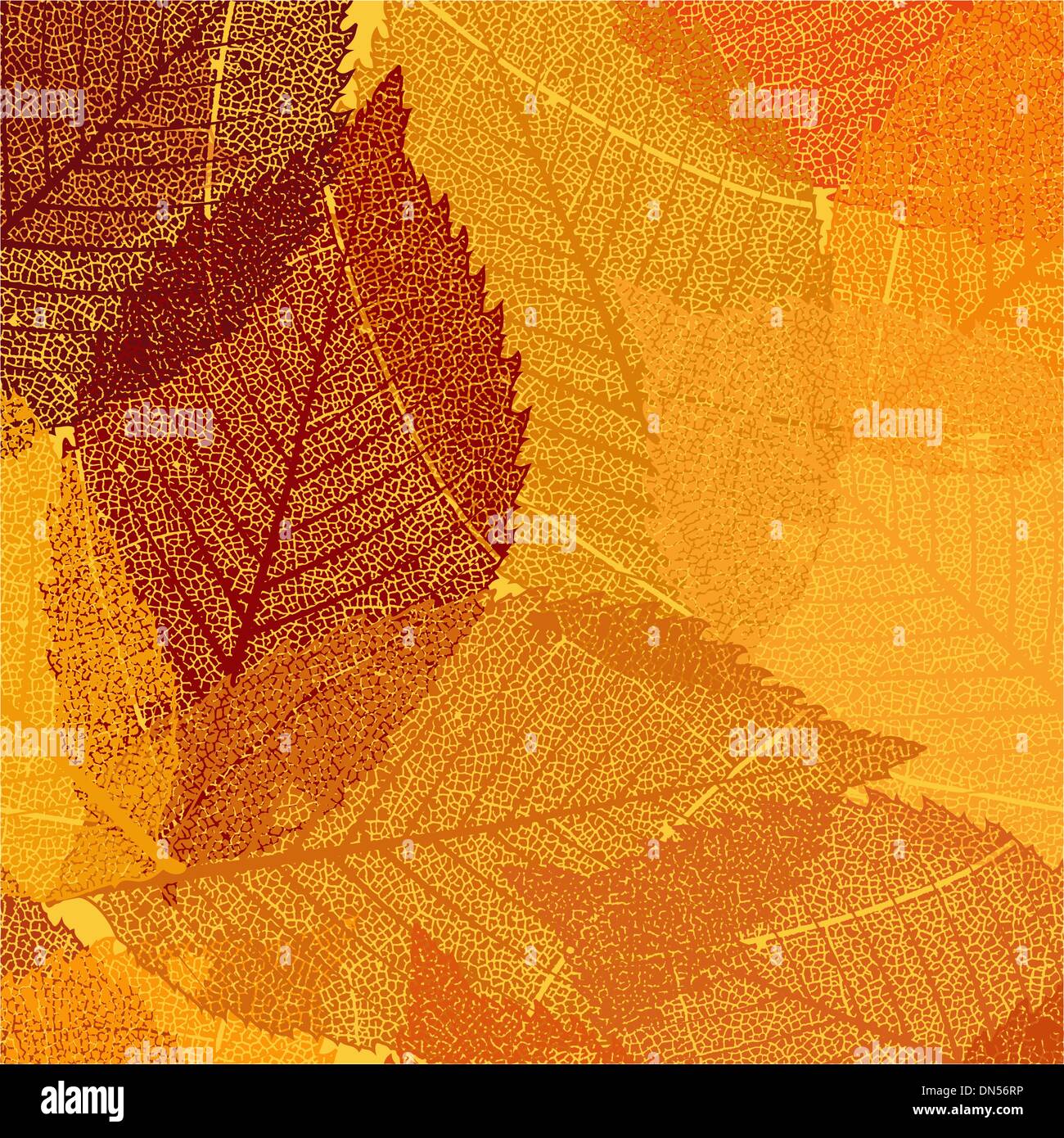 Golden autumn leaves line Stock Vector Images - Alamy