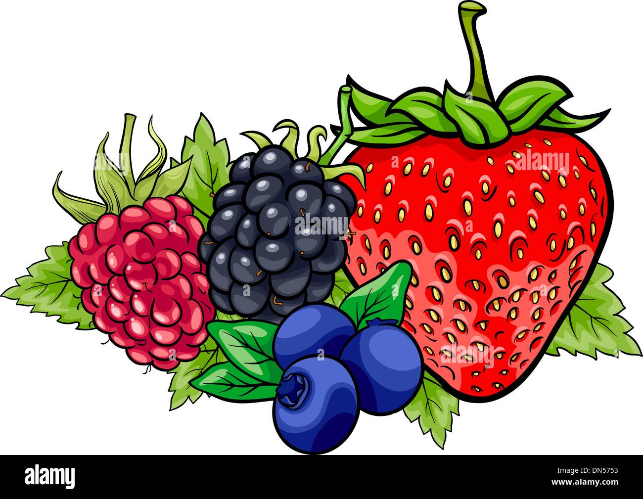 berry fruits cartoon illustration Stock Vector Image & Art - Alamy