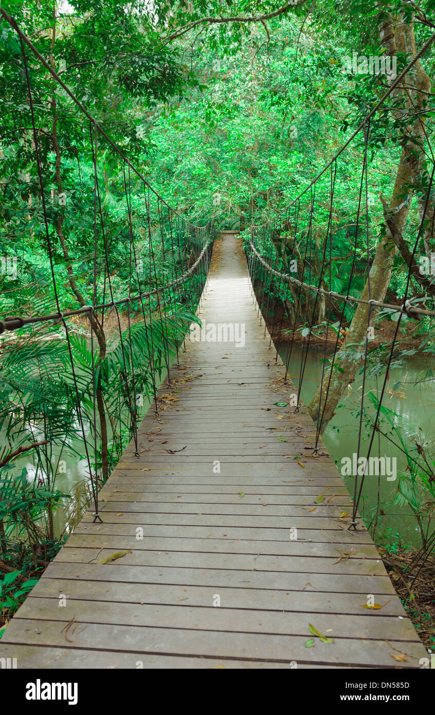 Thin Plank Wood Bridge Fernbank Project: Strongest Bridge Design