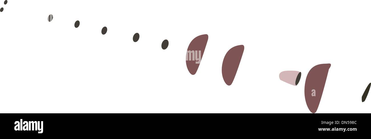 Recorder musical instrument hi-res stock photography and images - Alamy