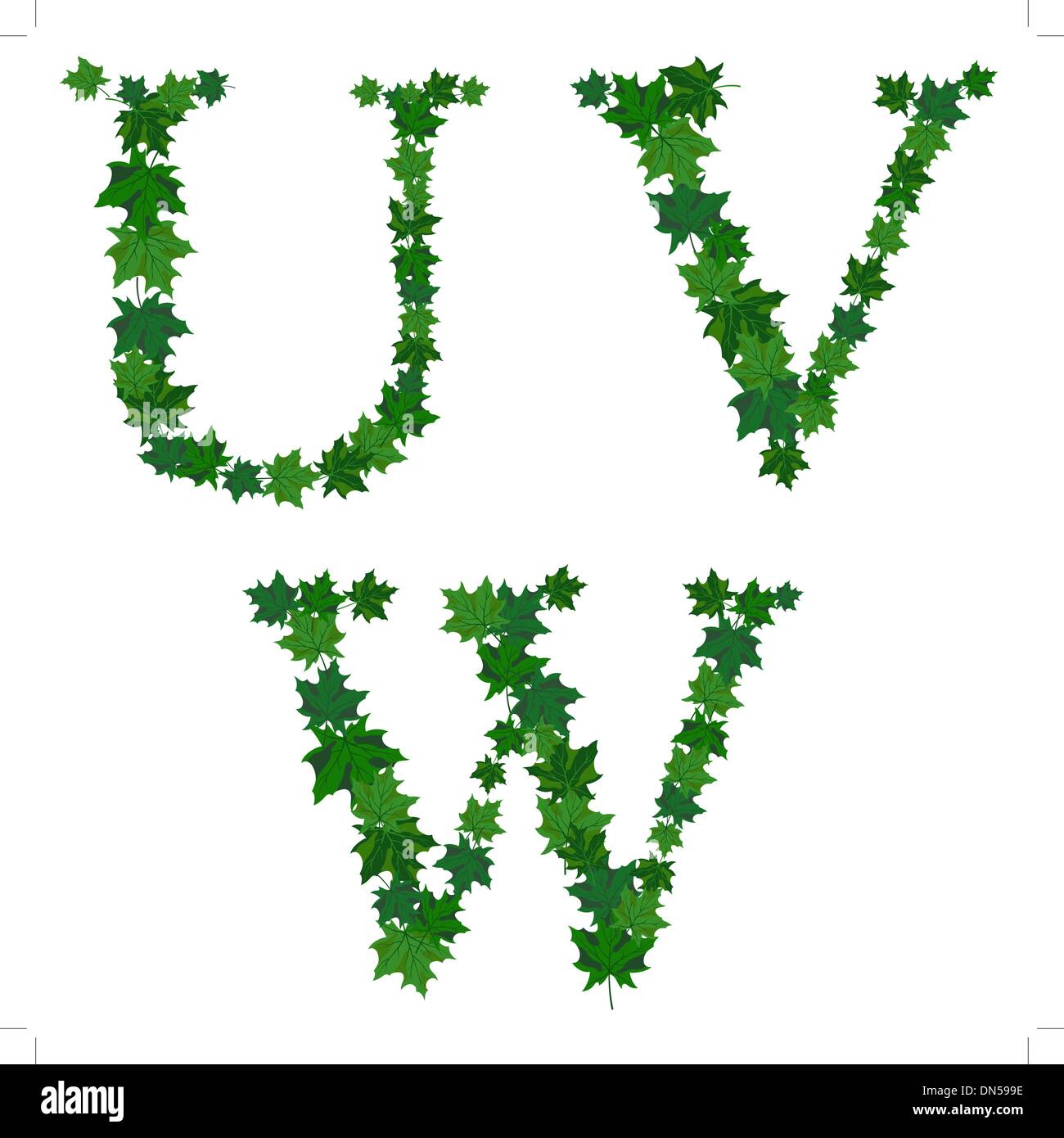 Summer maples leaves letter set Stock Vector Image & Art - Alamy