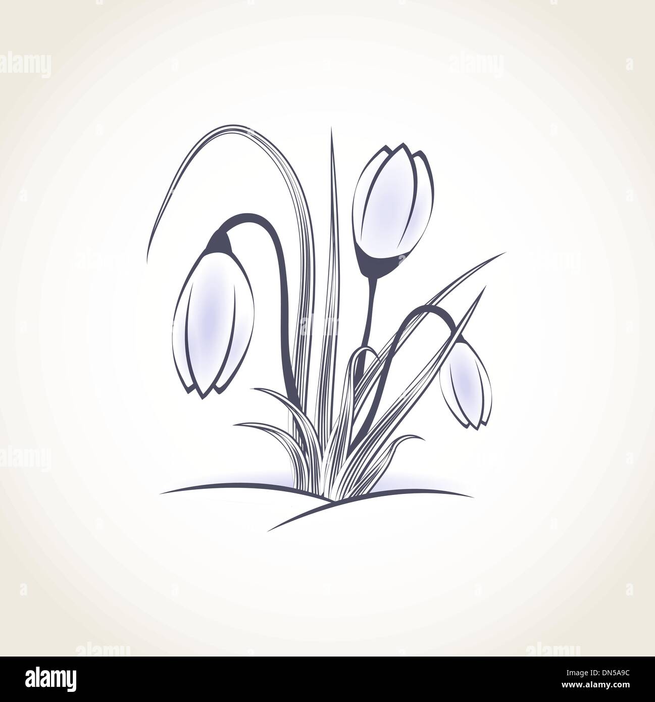 Crocus snow Stock Vector Images - Alamy