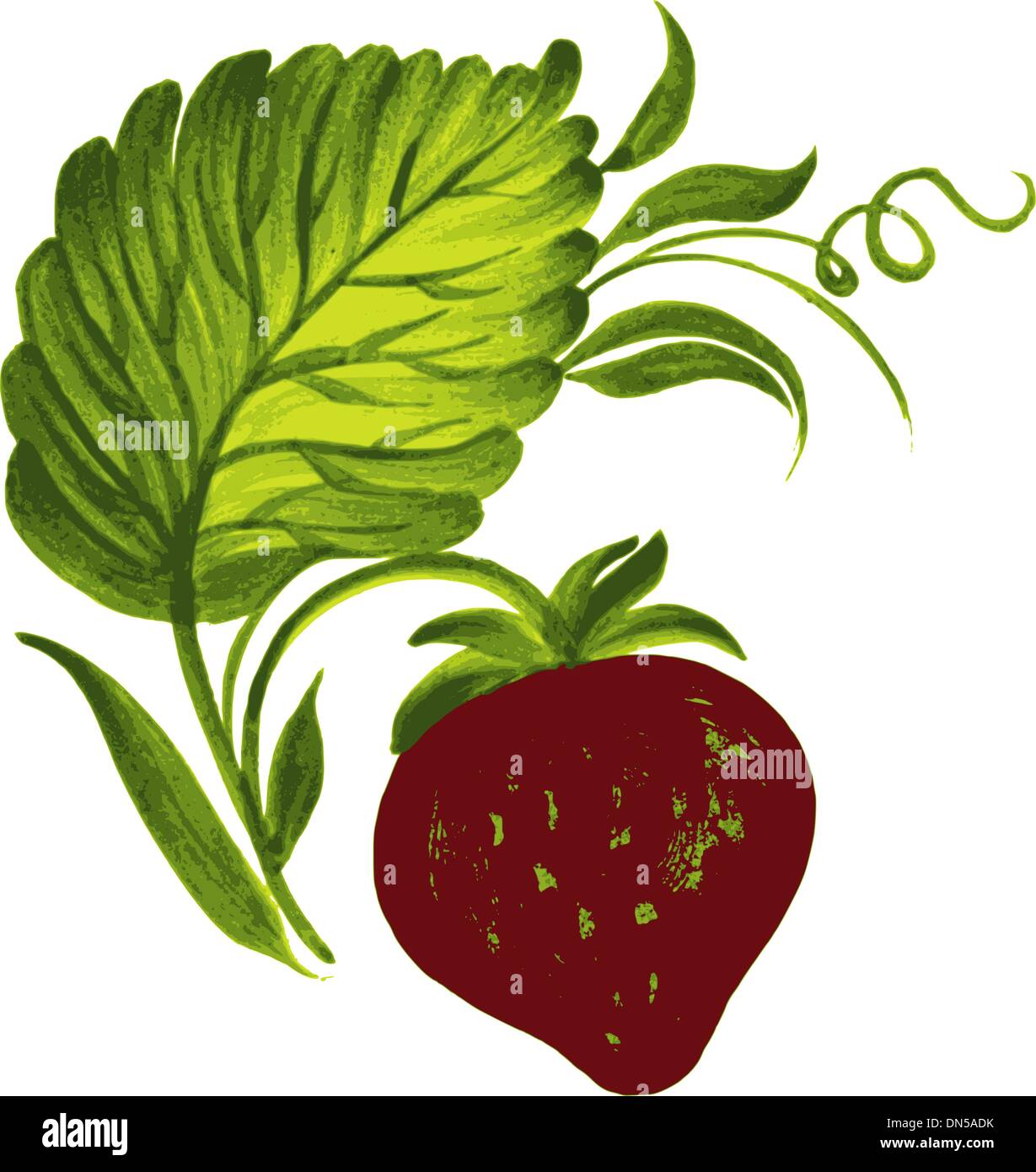 Strawberries Stock Vector Images - Alamy