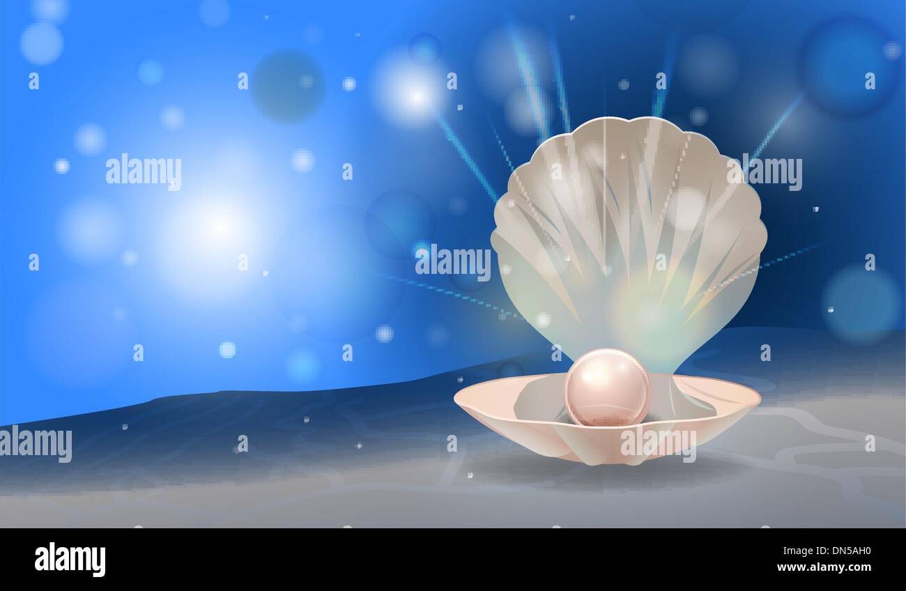 Pearl shell vector vectors hi-res stock photography and images - Alamy