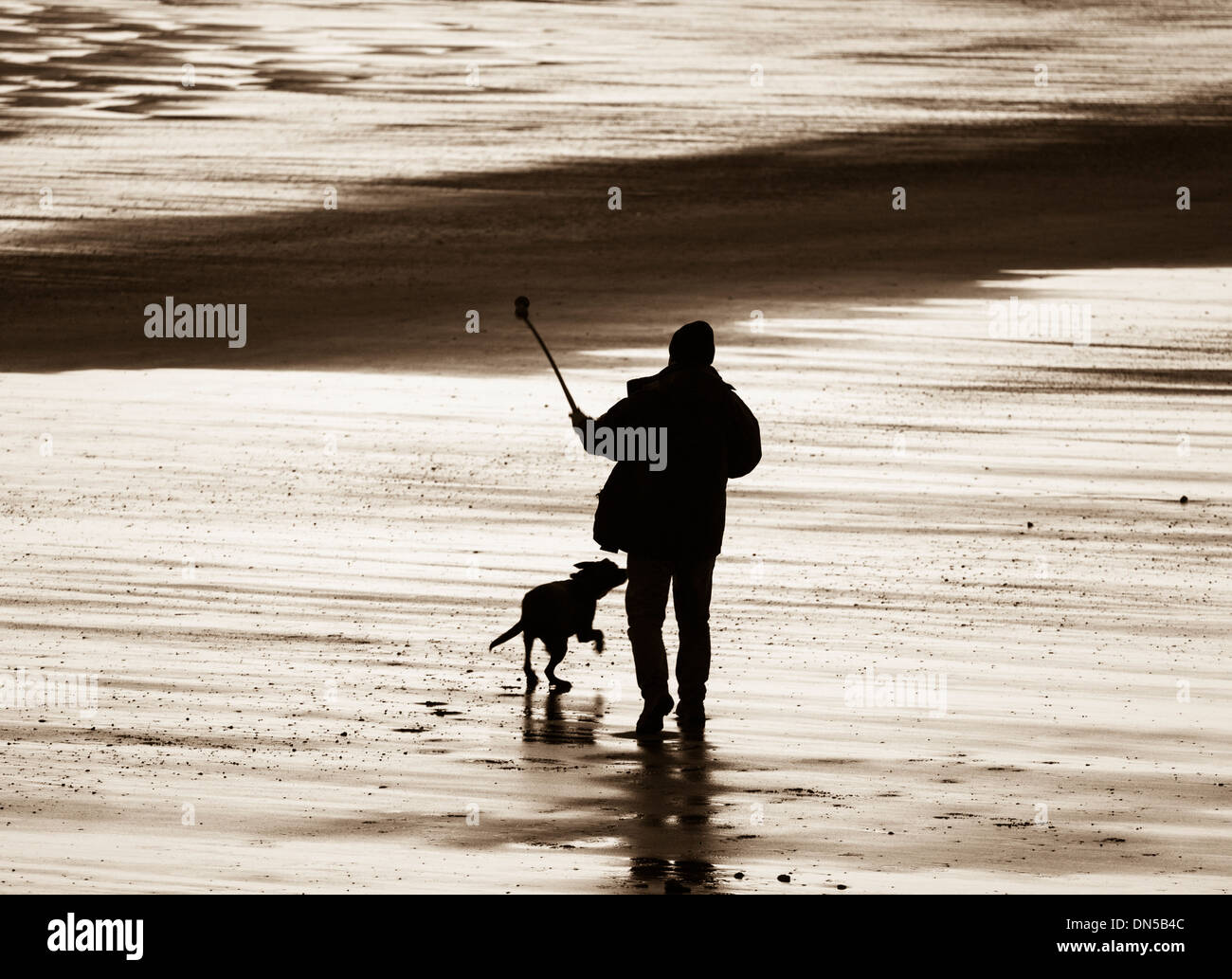 Dog walker on beach hi-res stock photography and images - Alamy