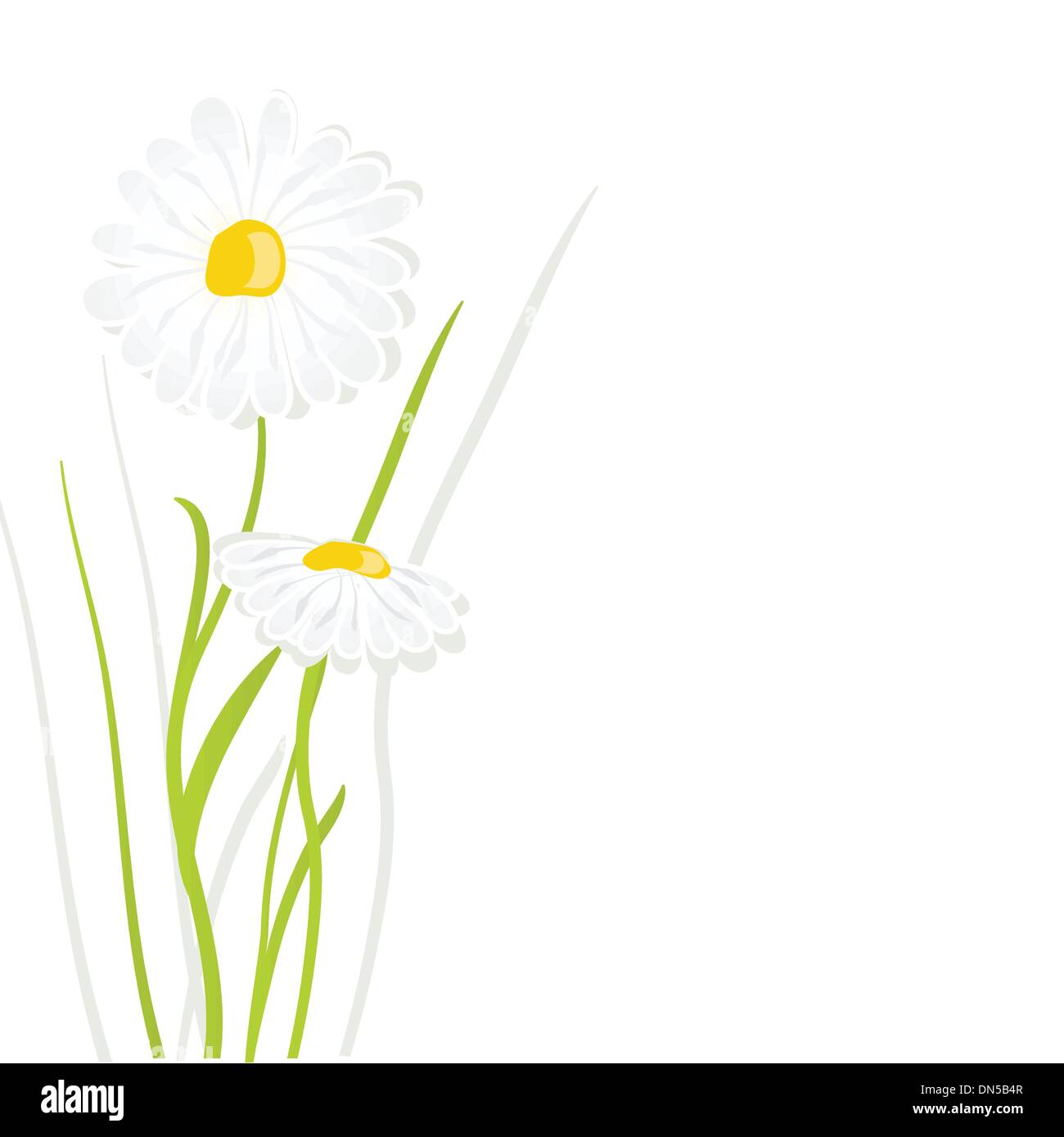 Daisy on Stock Vector Images - Alamy