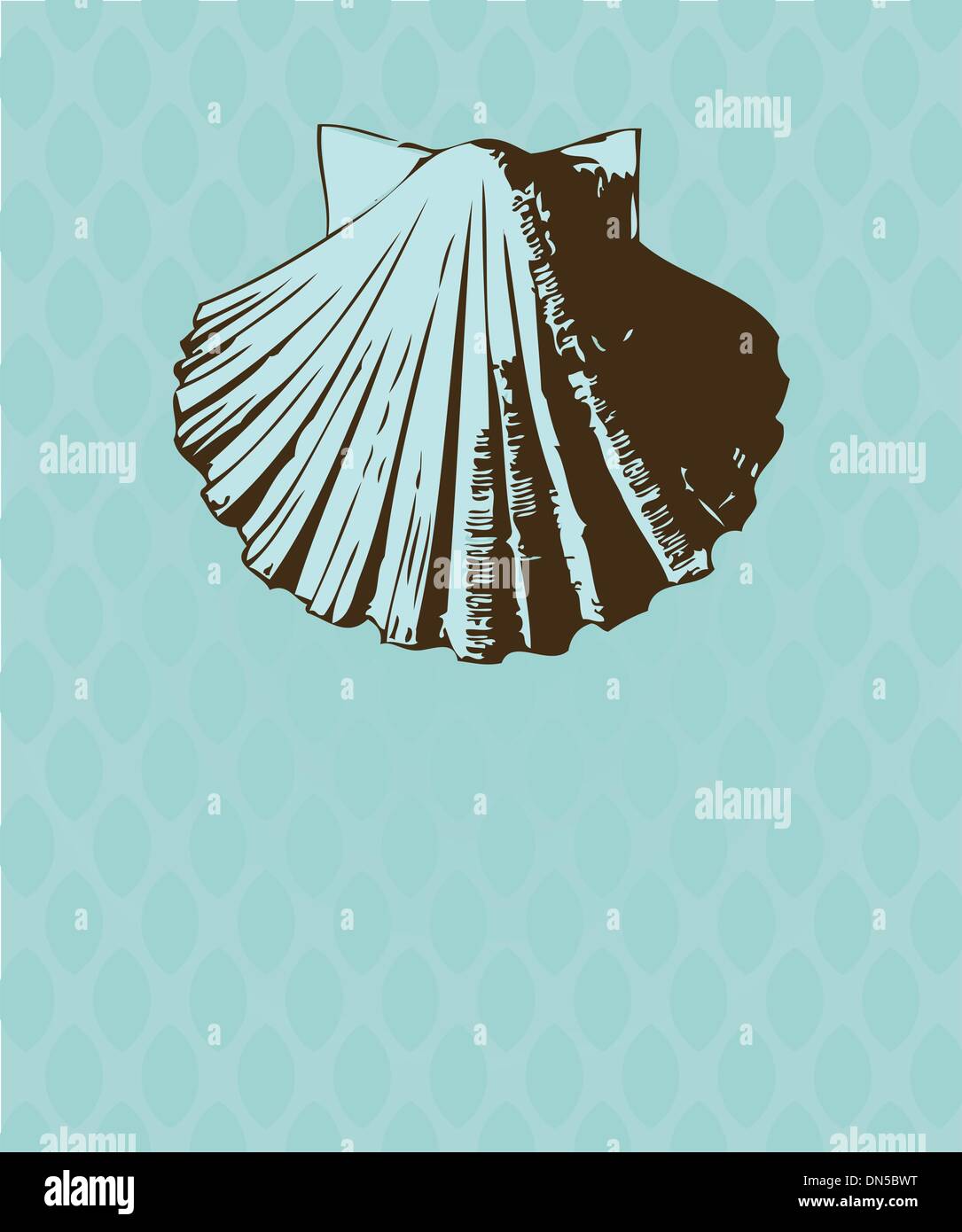 Vintage card with hand drawn shell Stock Vector Image & Art - Alamy