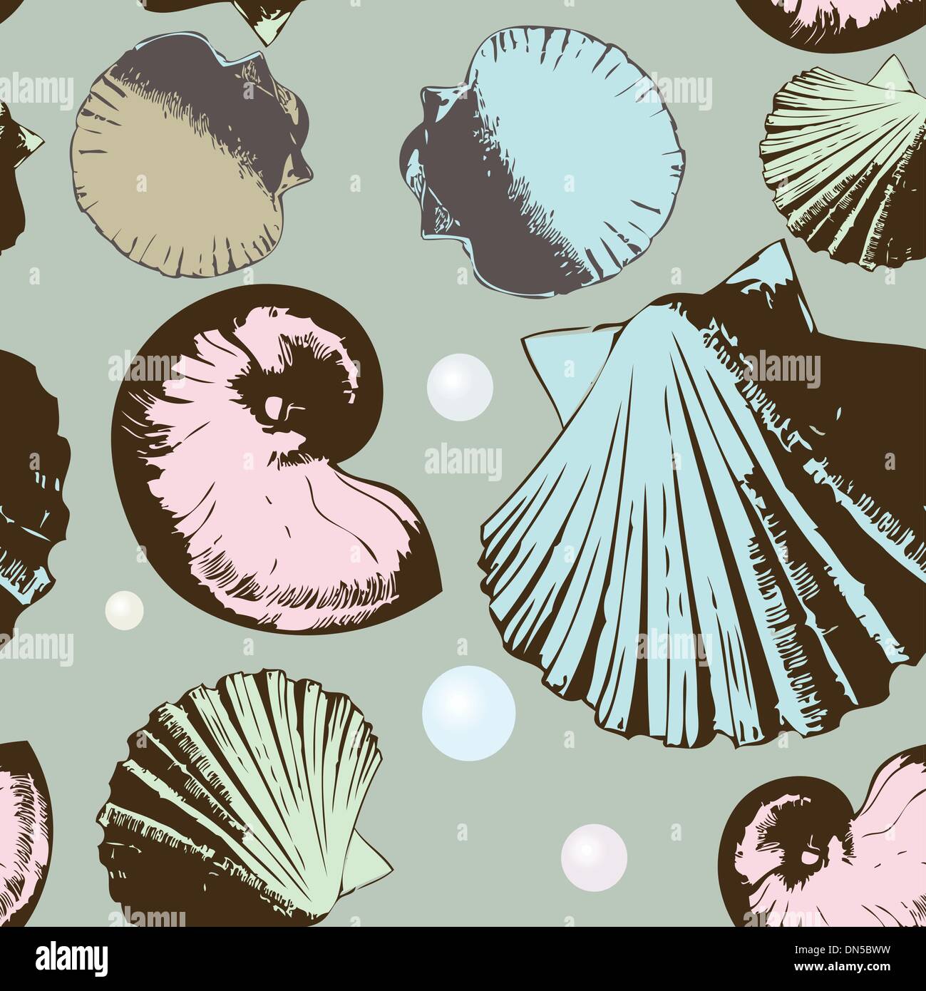 Vintage card with hand drawn shell Stock Vector Image & Art - Alamy