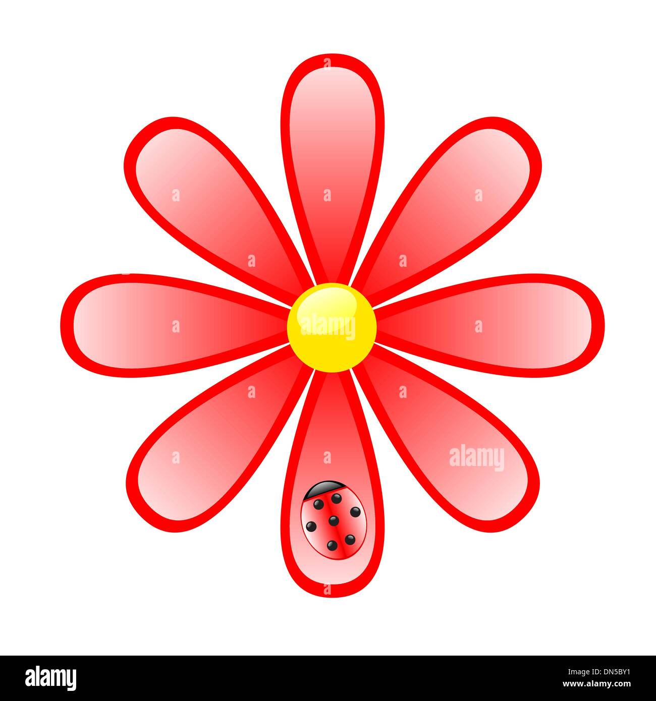 Ladybug on petal rose hi-res stock photography and images - Alamy