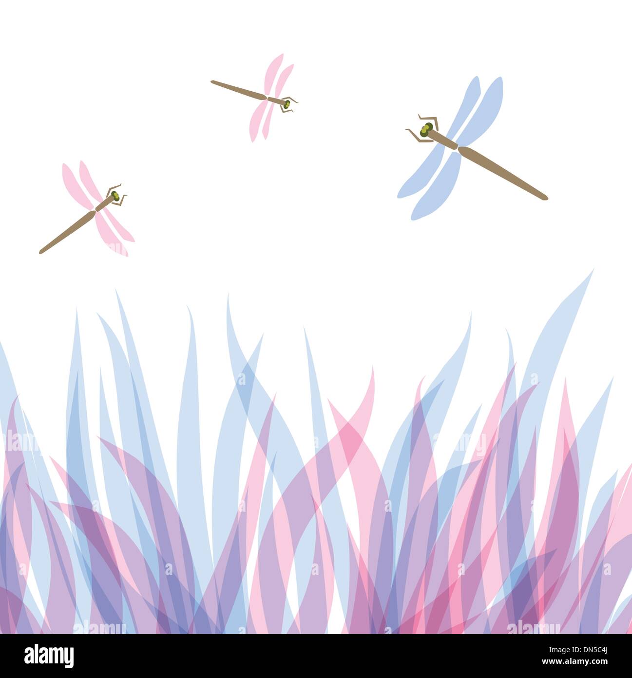 Beautiful dragonfly image Stock Vector Images - Alamy