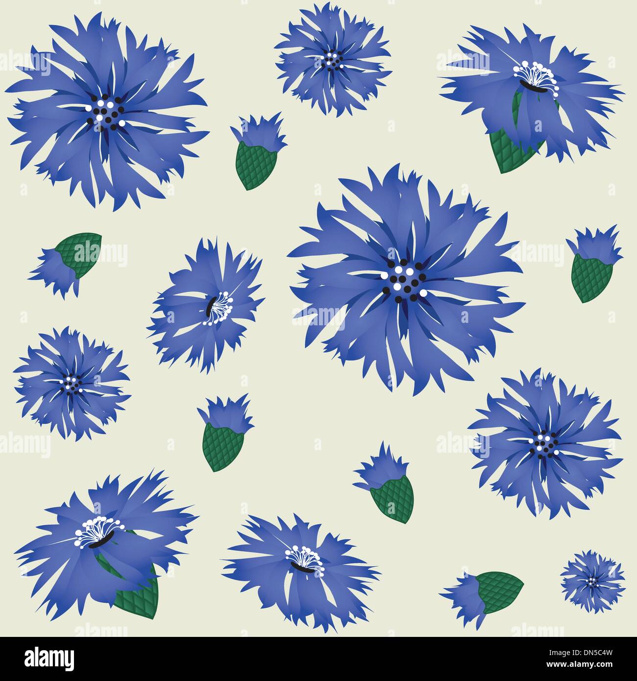 Blue cornflower hi-res stock photography and images - Alamy