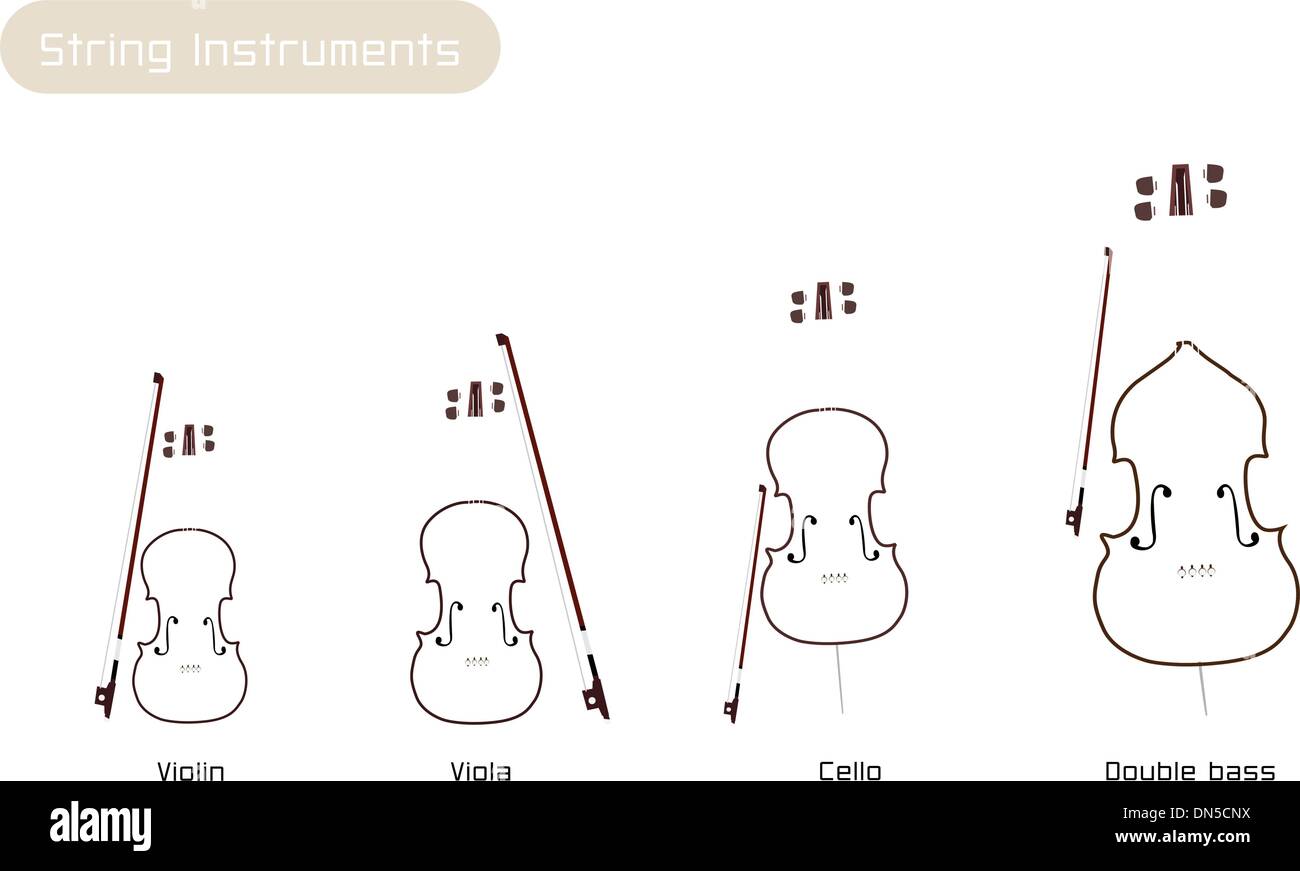 Four Musical Instrument Strings on White Background Stock Vector Image ...