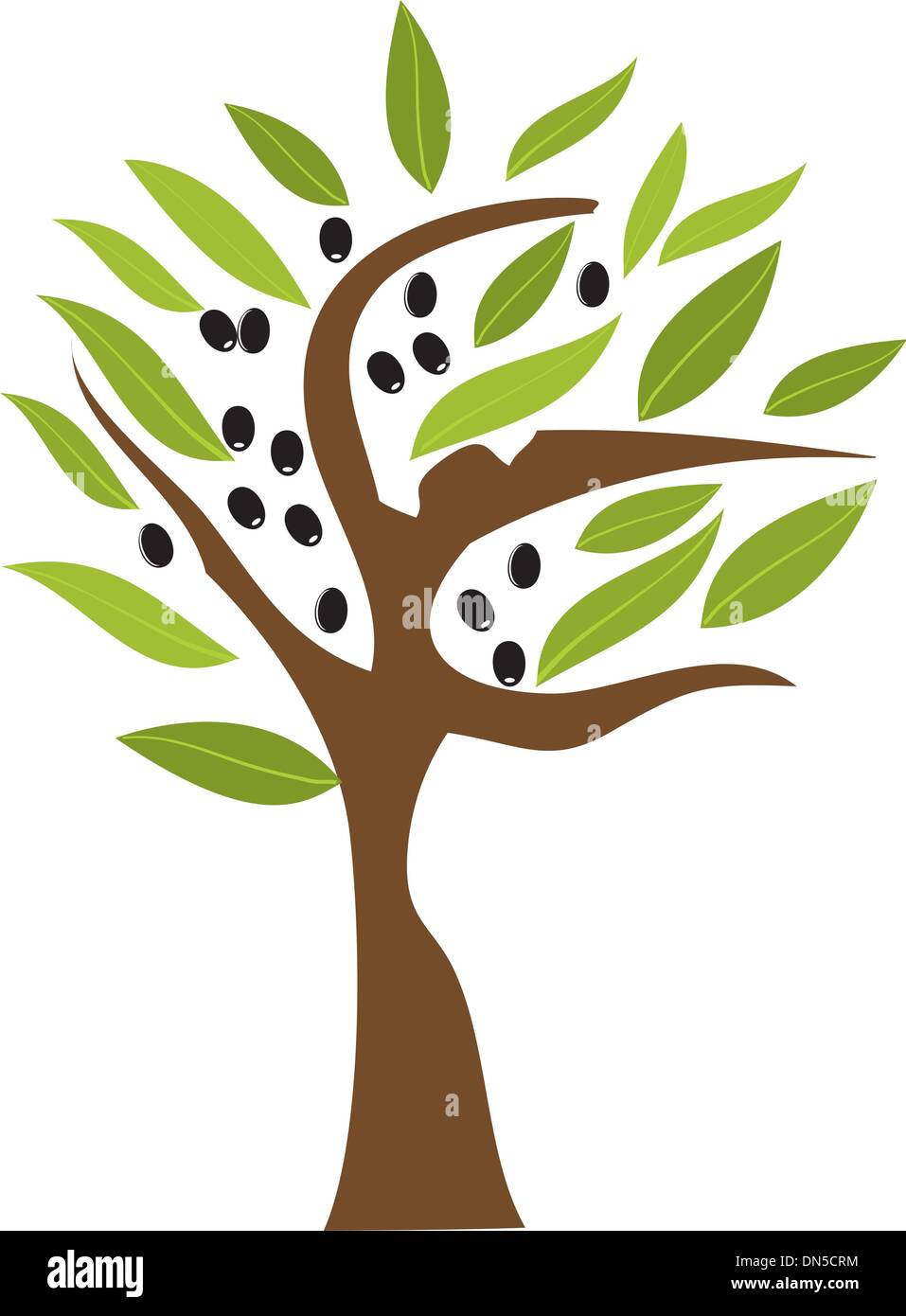 Olive tree Stock Vector Images - Alamy