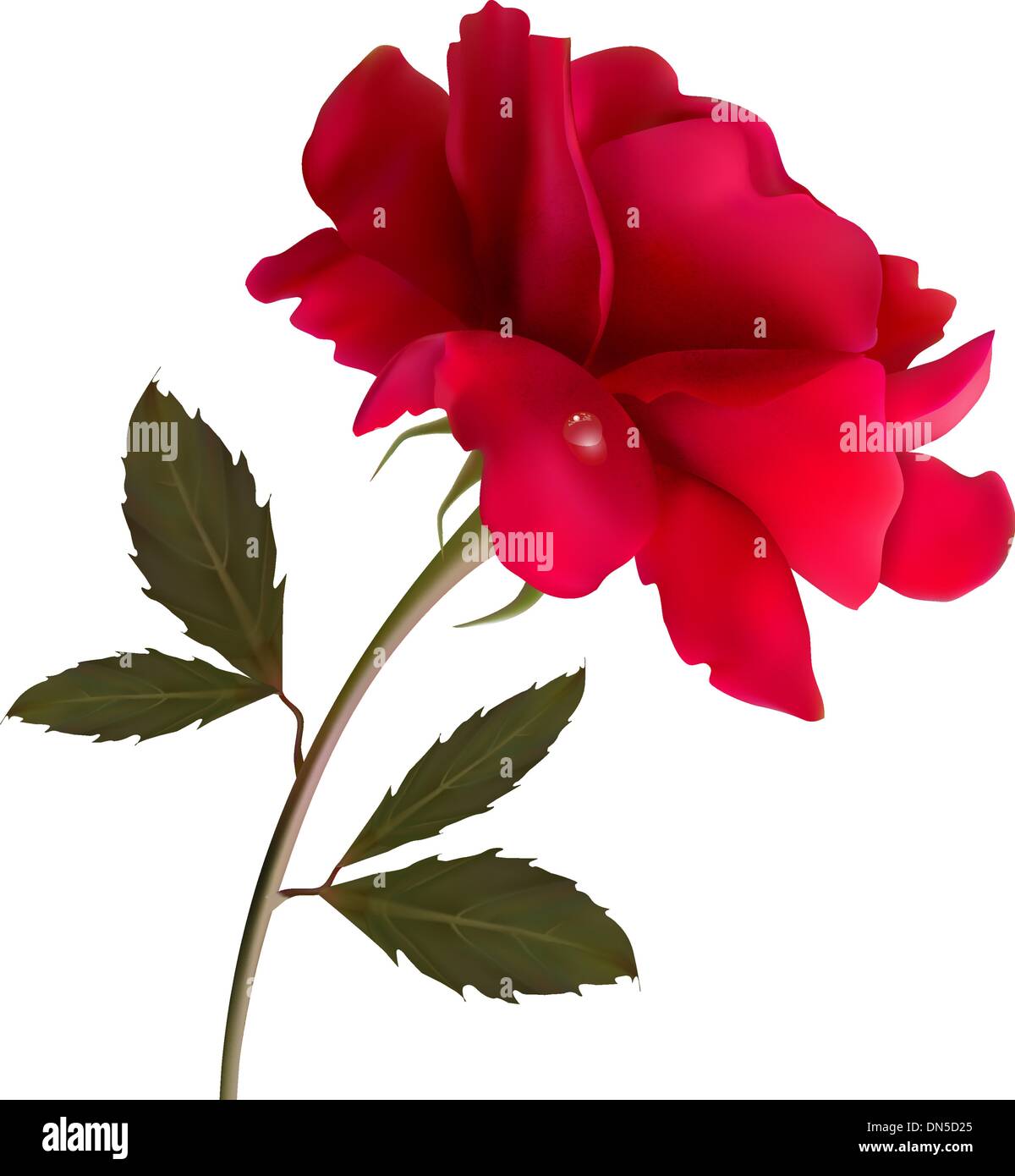 Holiday background with red beautiful rose. Vector Stock Vector Image ...