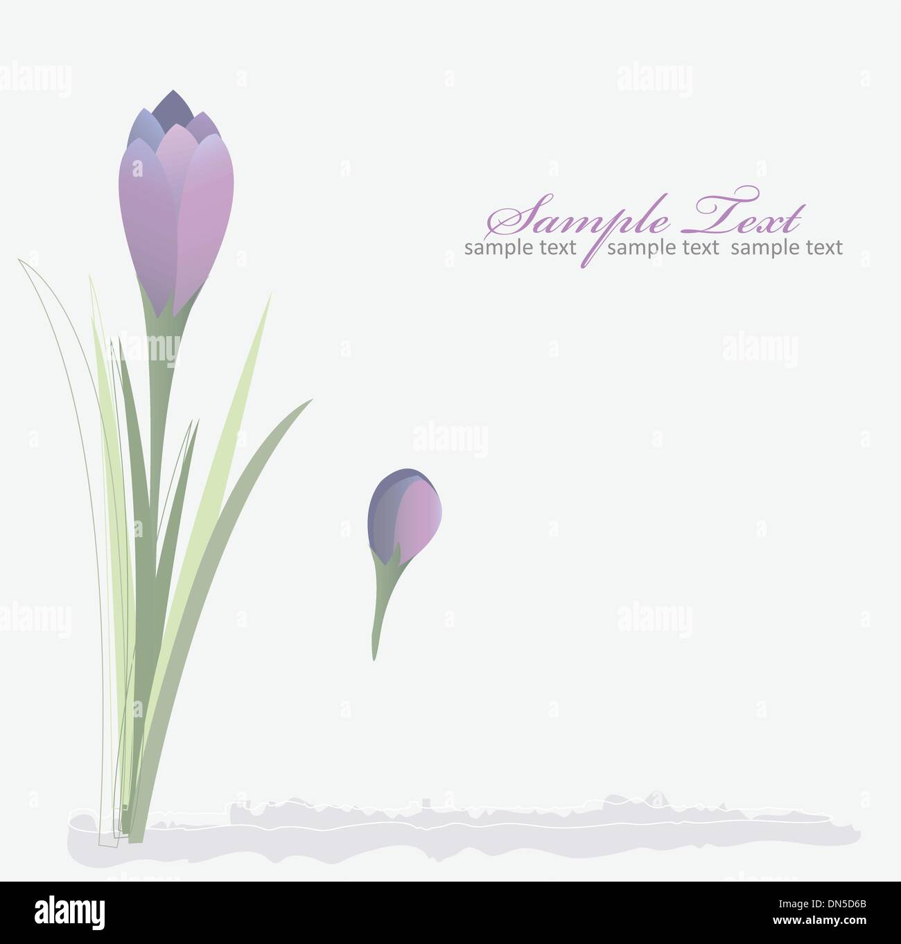Spring crocus wallpaper pattern hi-res stock photography and images - Alamy