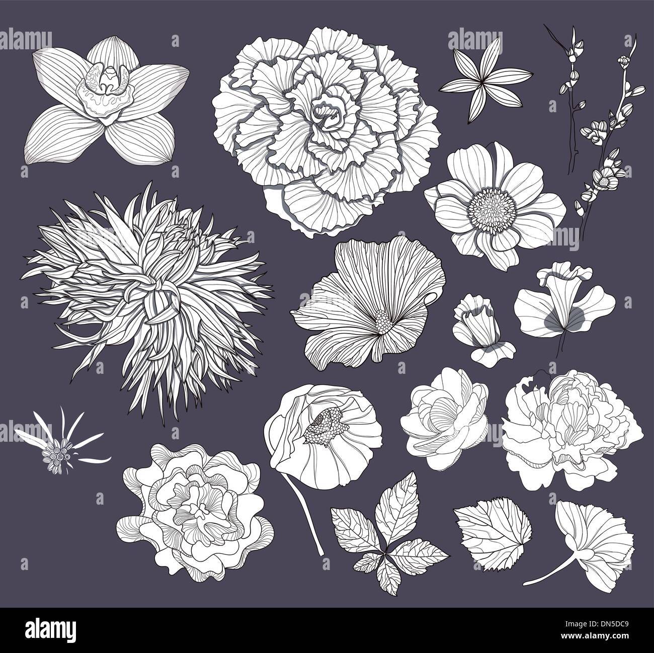 Set of flowers. Floral elements Stock Vector Image & Art - Alamy