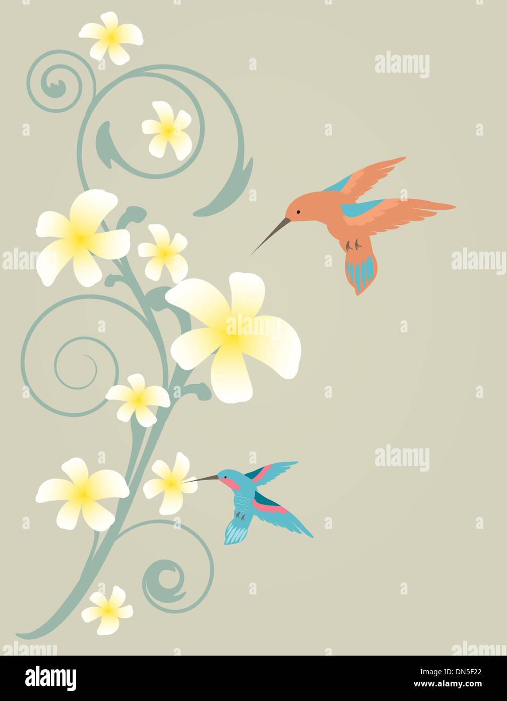 Frangipani vector vectors hi-res stock photography and images - Alamy