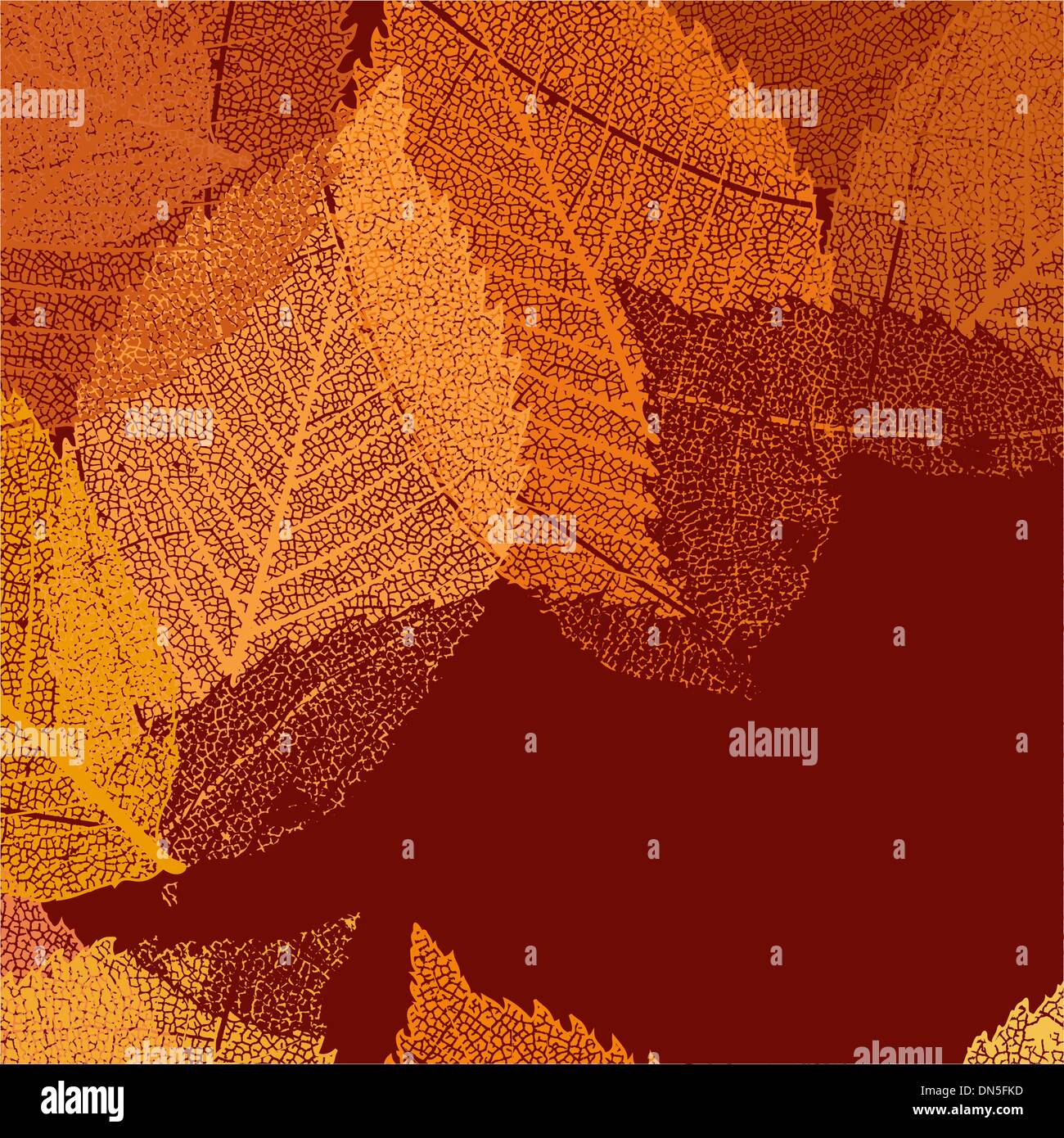 Dry autumn leaves template. EPS 8 Stock Vector Image & Art - Alamy