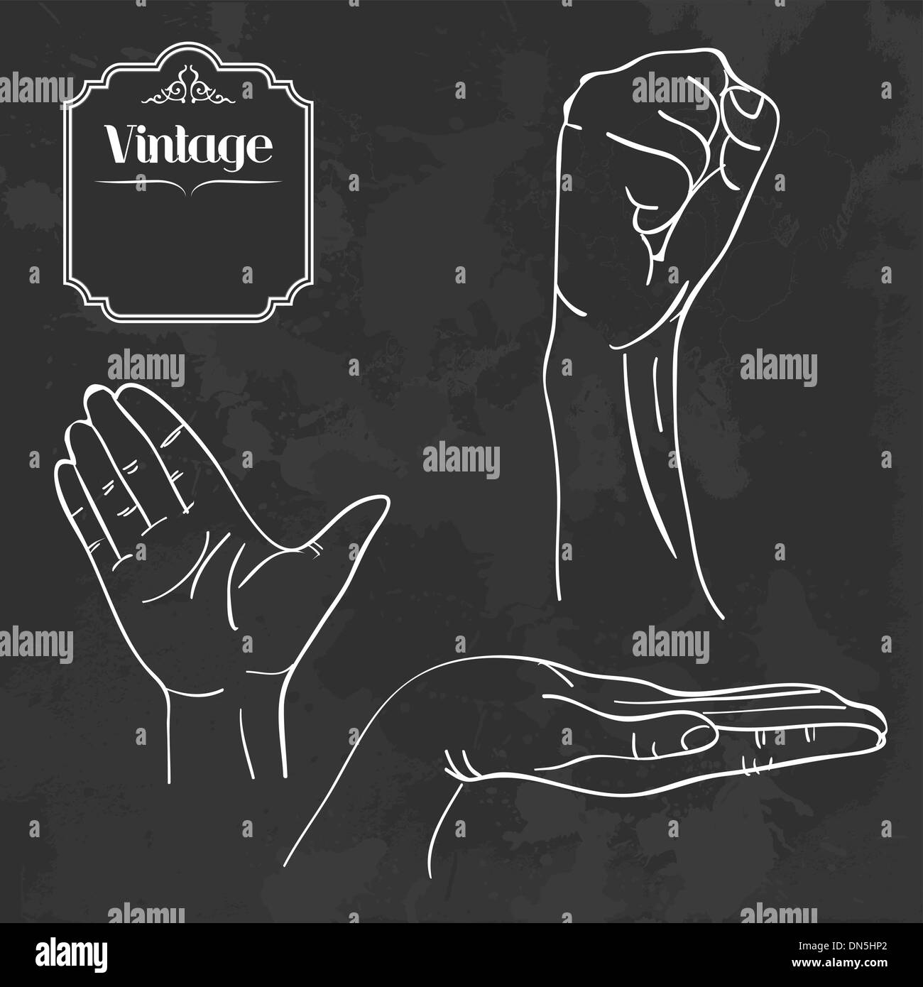 Vintage chalkboard hand sketch Stock Vector Image & Art - Alamy