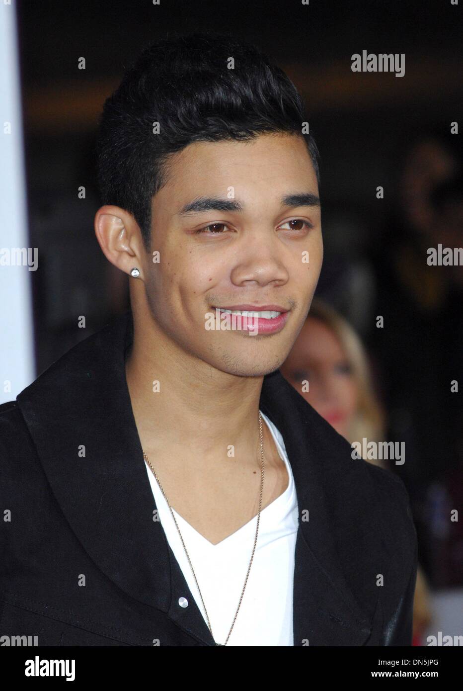 Los Angeles, CA, USA. 18th Dec, 2013. Roshel Fegan at arrivals for ...