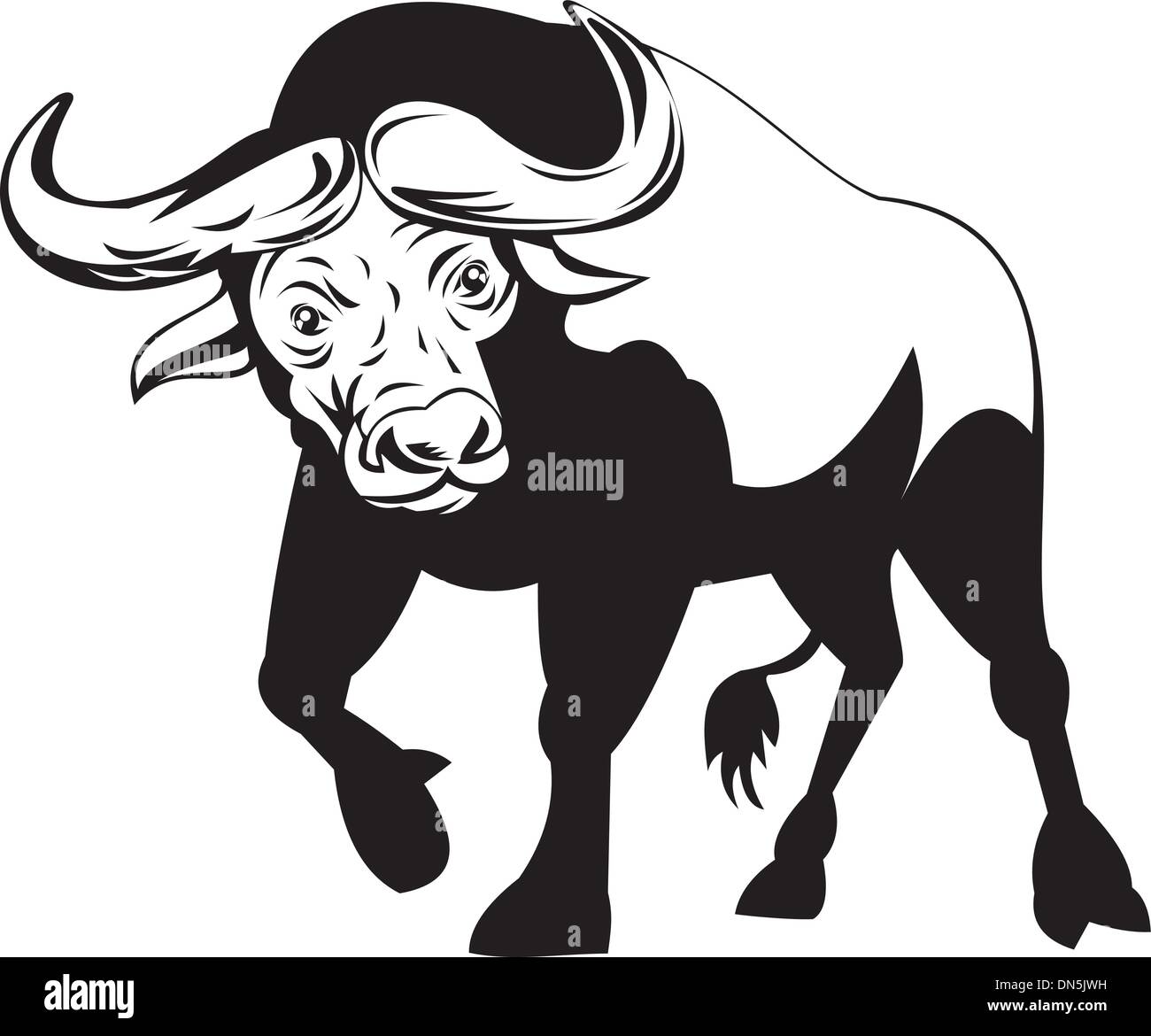 African white cow Stock Vector Images - Alamy